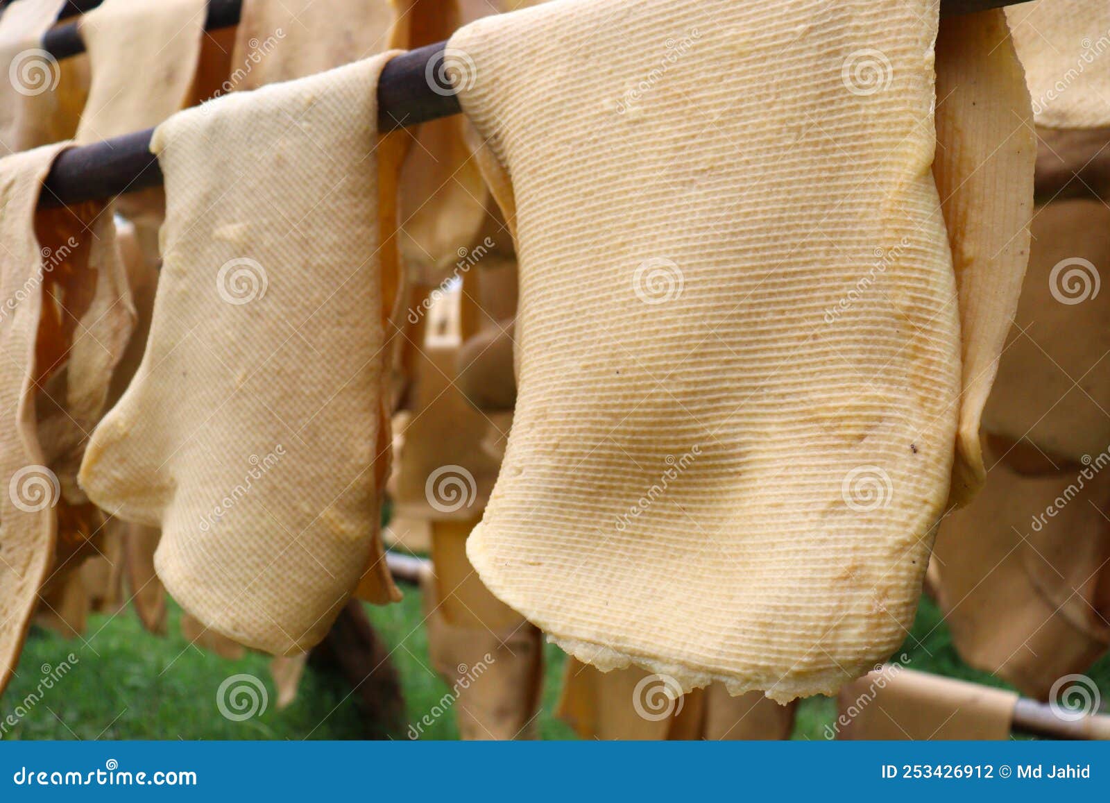 Natural Raw Rubber Sheets on Factory Stock Photo - Image of forestry ...