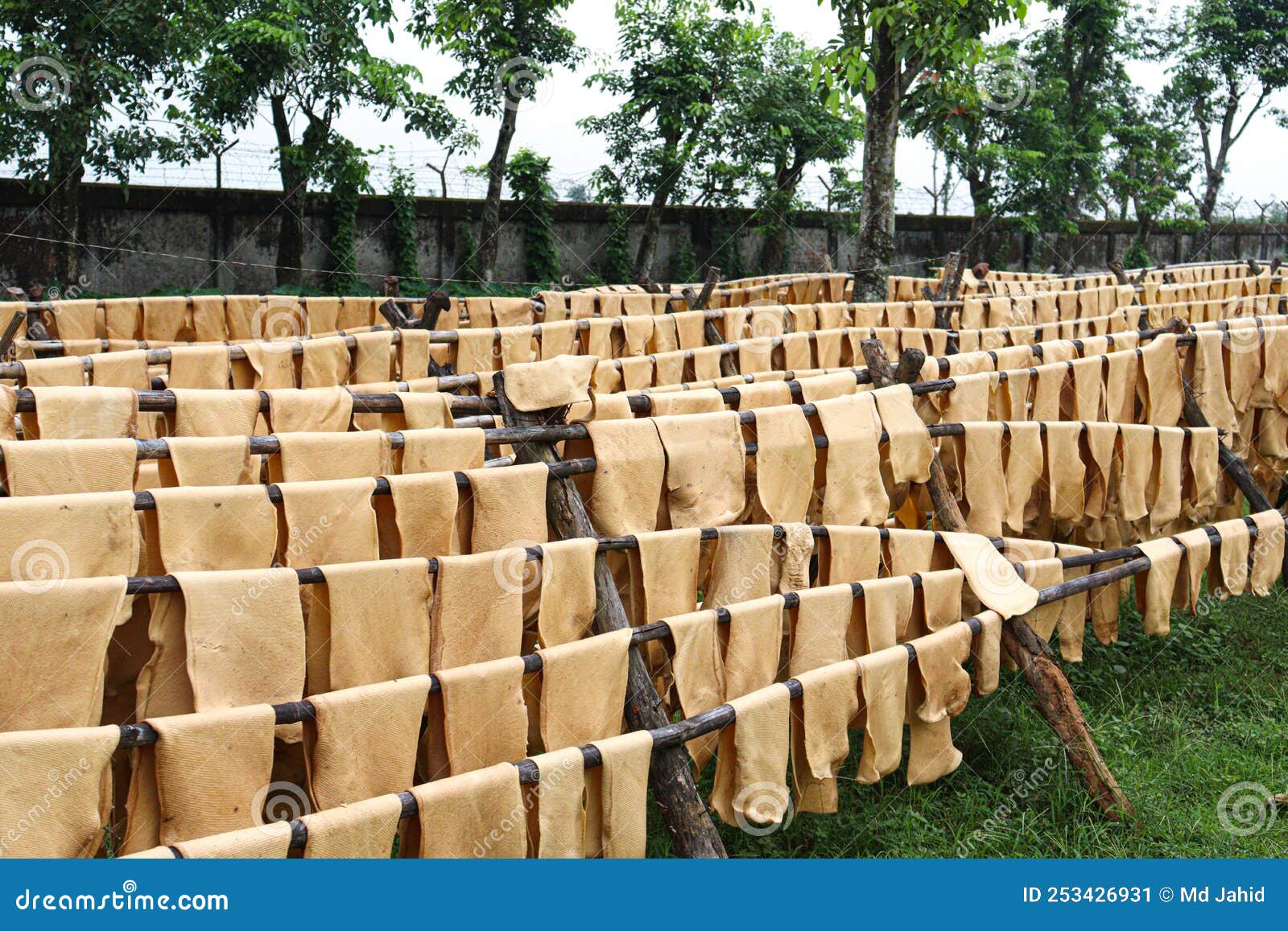 Natural Raw Rubber Sheets on Factory Stock Image - Image of liquid ...