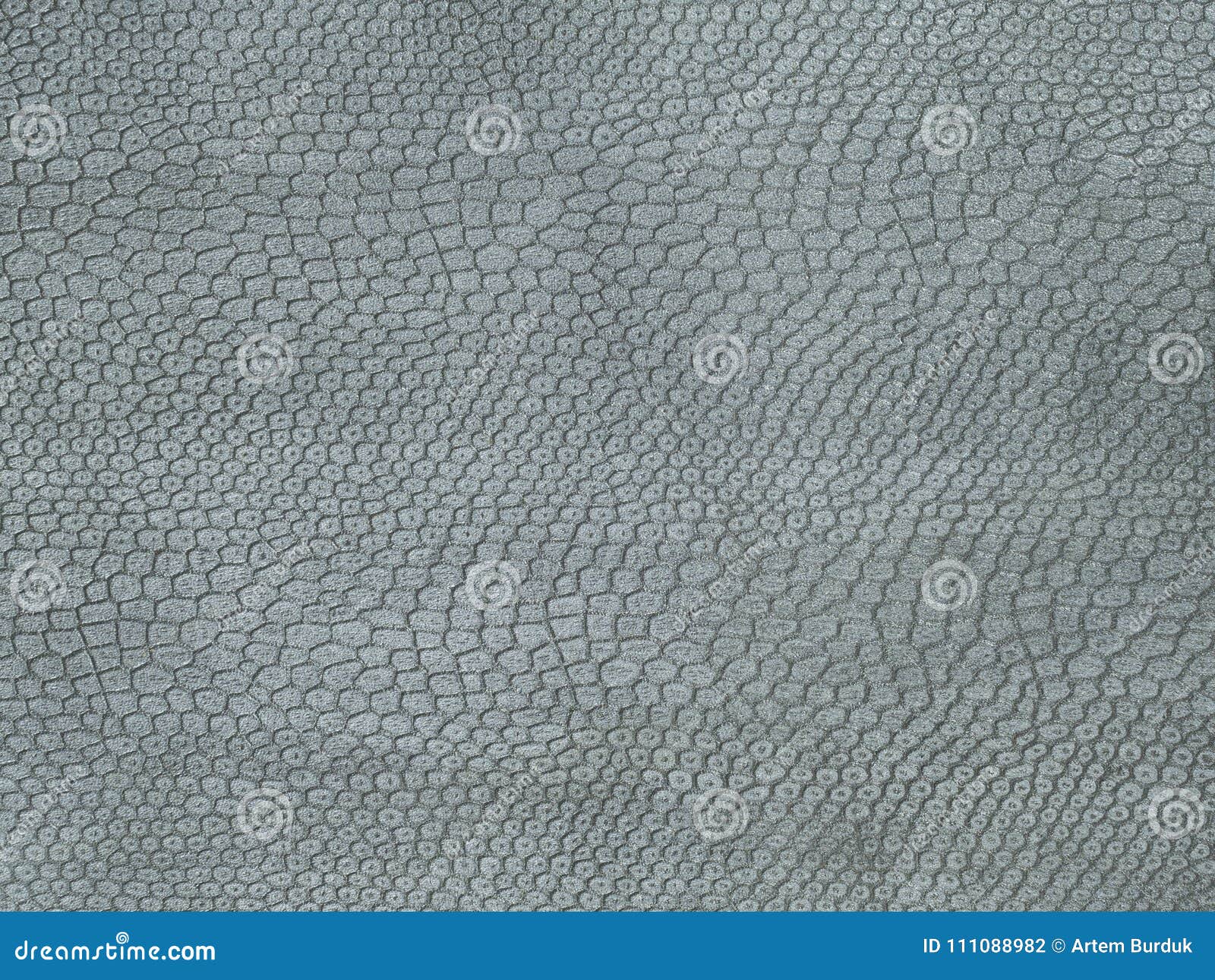 Natural, Real Grey Snake Leather Texture Stock Photo - Image of detail ...