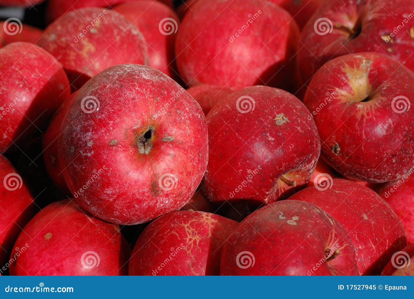 Natural red apples stock image. Image of apples, harvest - 17527945