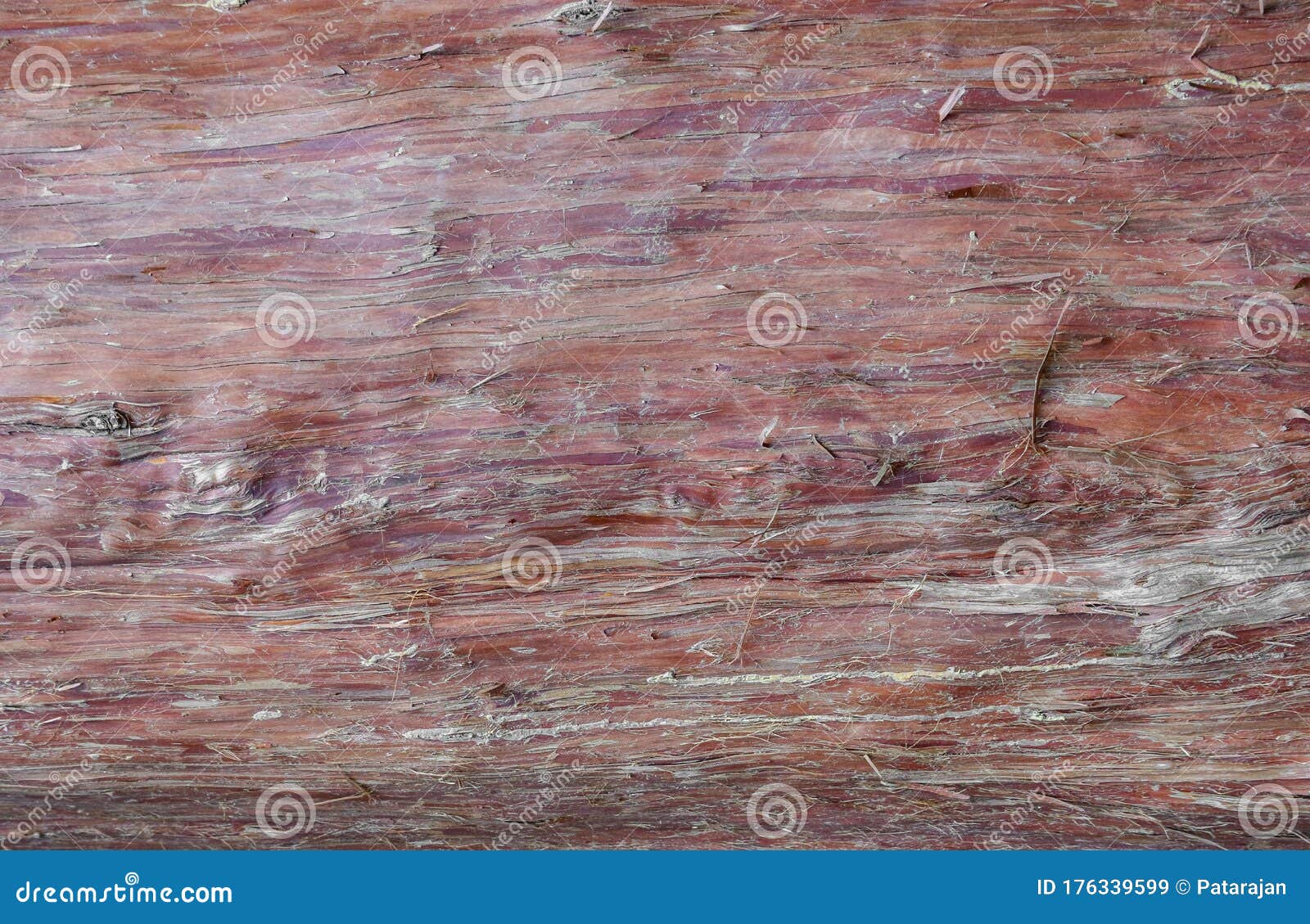 Natural Red Pine Wood Inner Skin Surface Texture Background. Stock ...