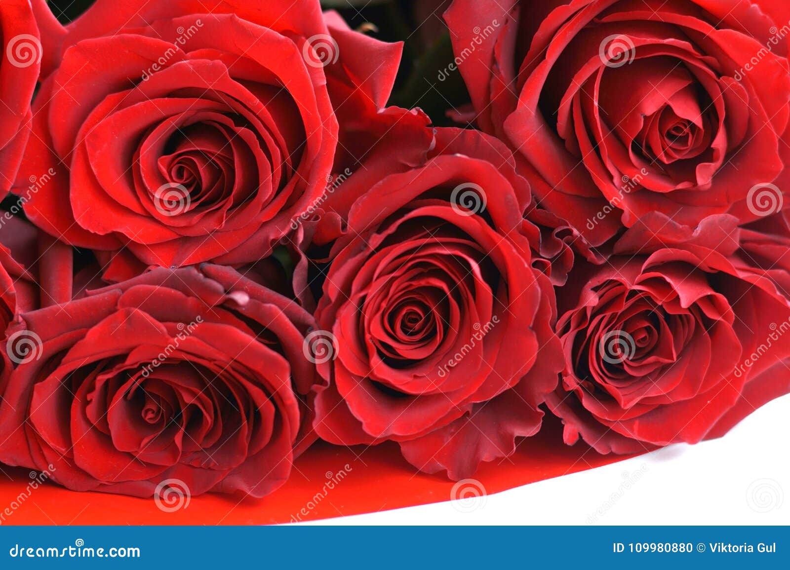 Natural Red Roses Background Stock Photo - Image of party, closeup ...