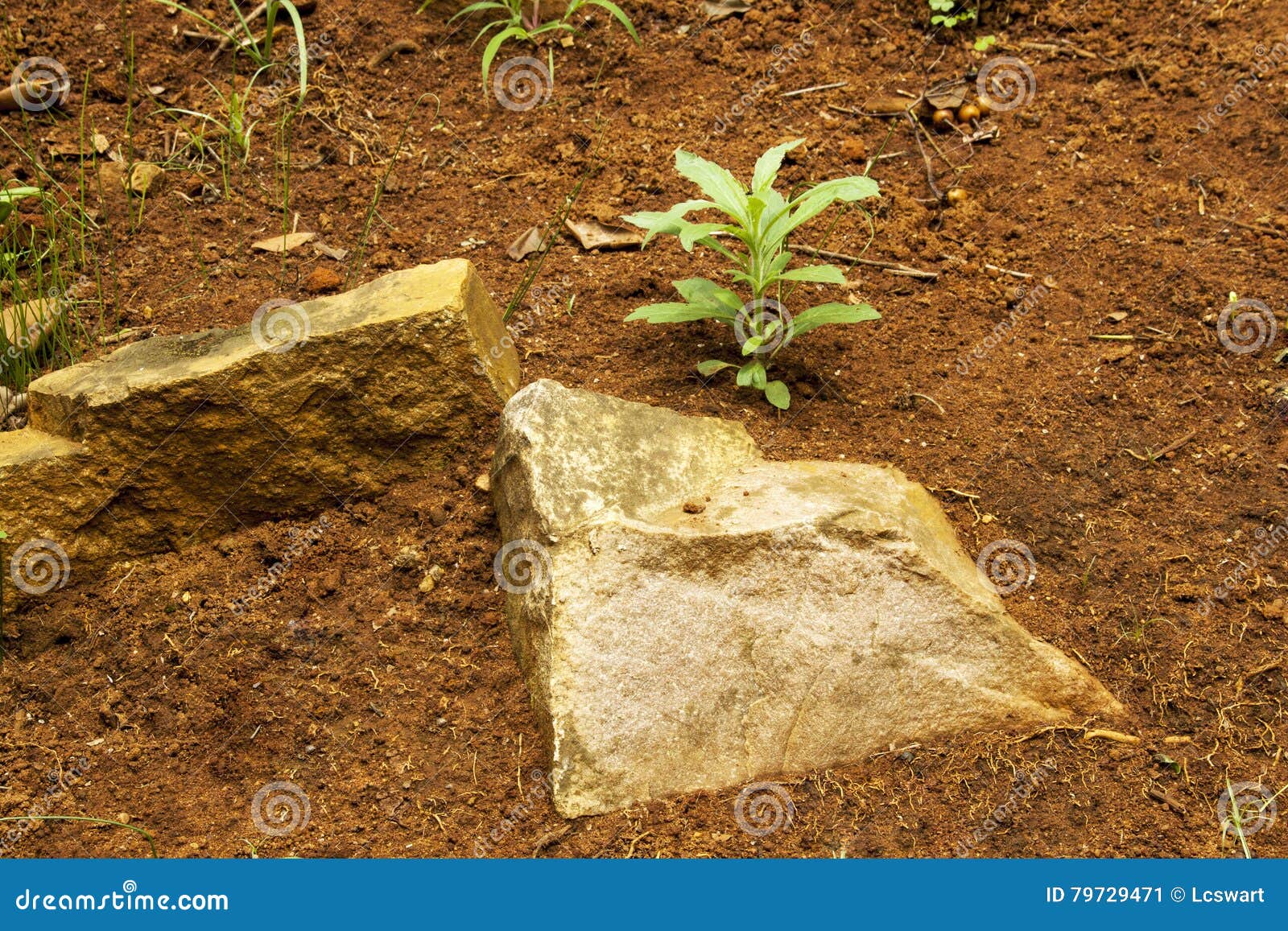 Red Soil And Rocks Stock Photo | CartoonDealer.com #108612624