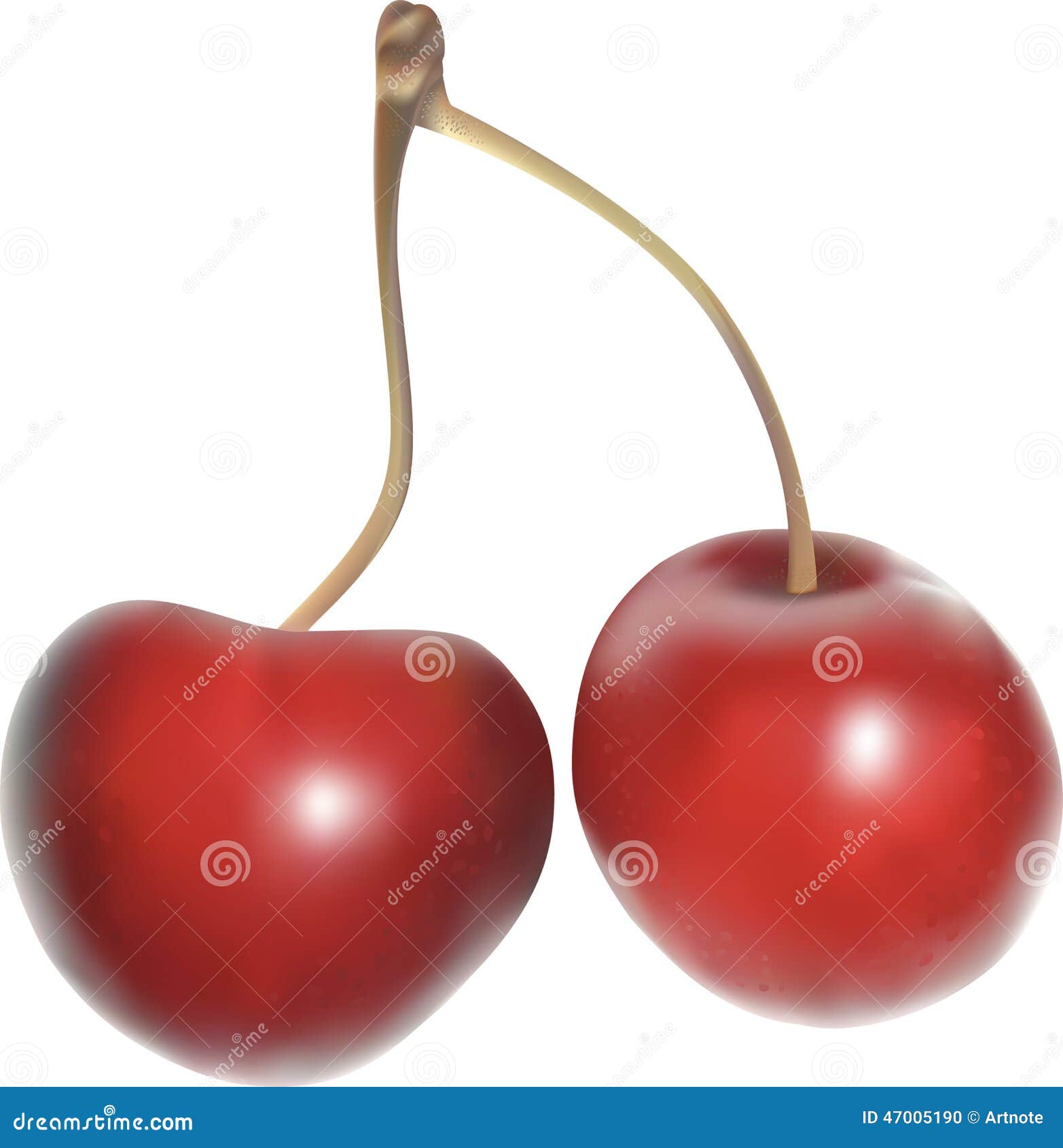 Natural Red Sweet Cherry in Vector Stock Vector - Illustration of ...