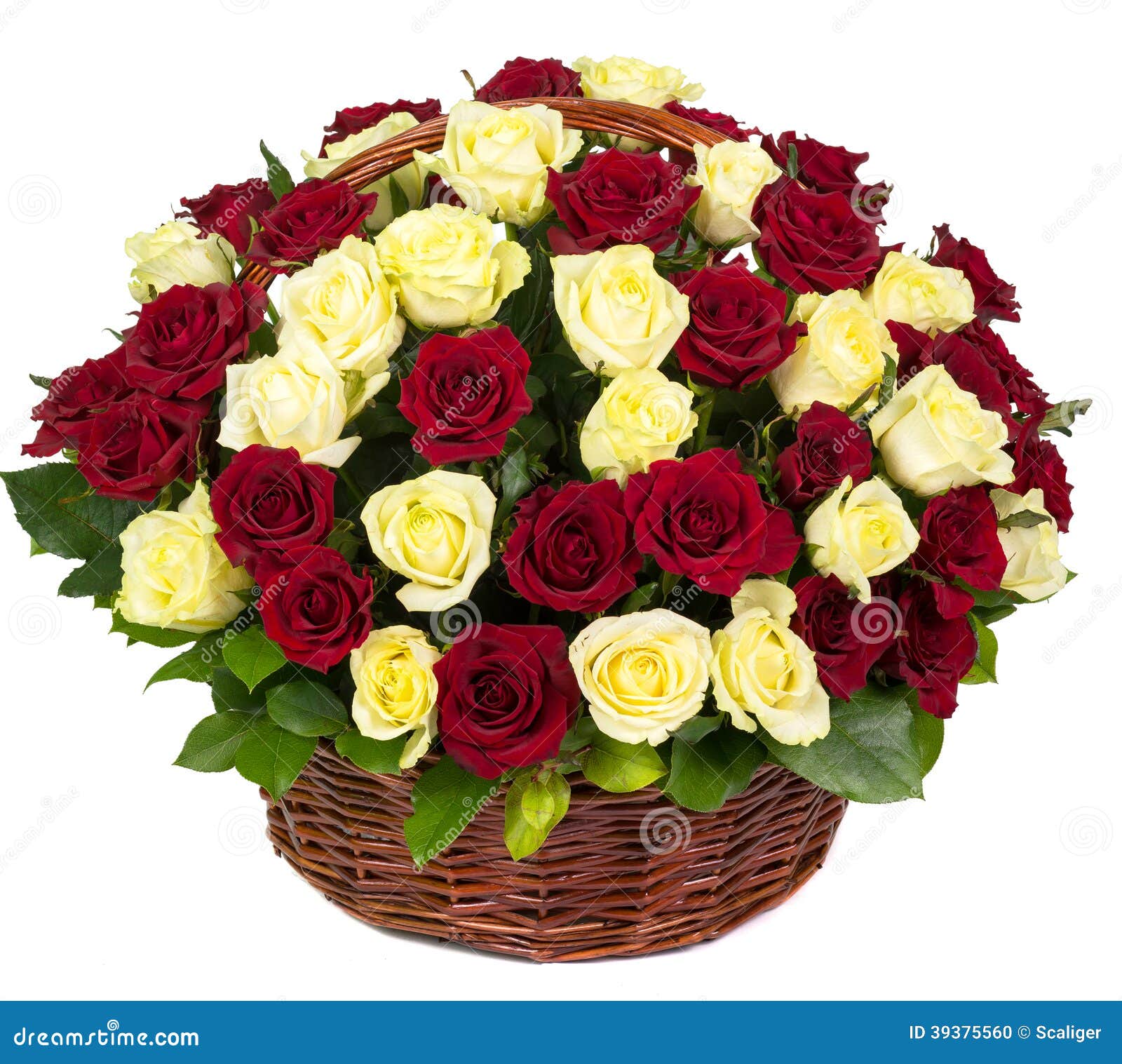 611 Basket Yellow Roses Isolated Stock Photos - Free & Royalty-Free ...