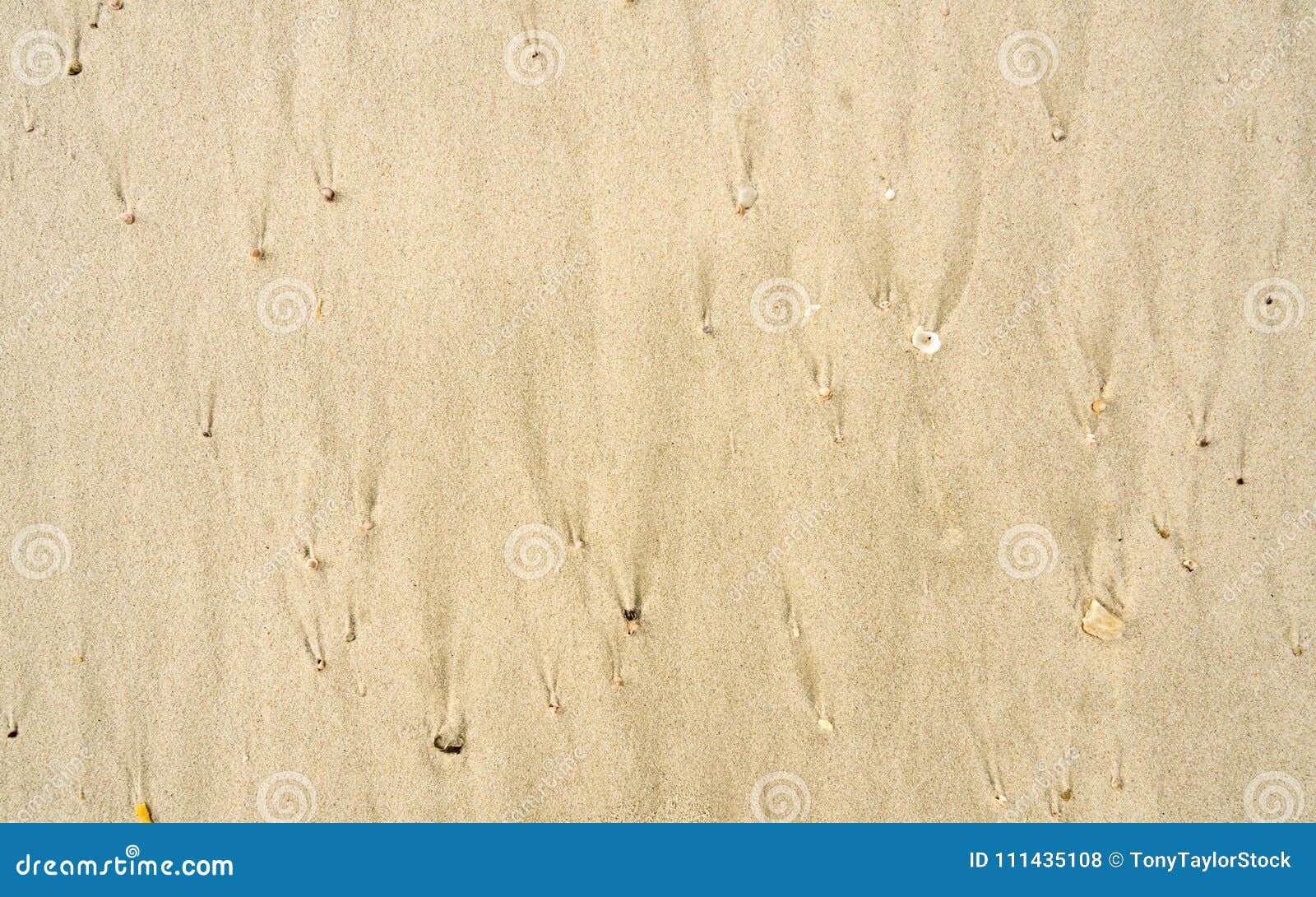 Repeating Patterns in Sand 2 Stock Photo - Image of copy, rough: 111435108