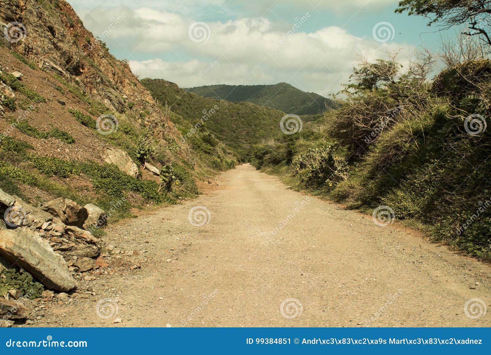 Endless road stock image. Image of observing, beauty - 99384851