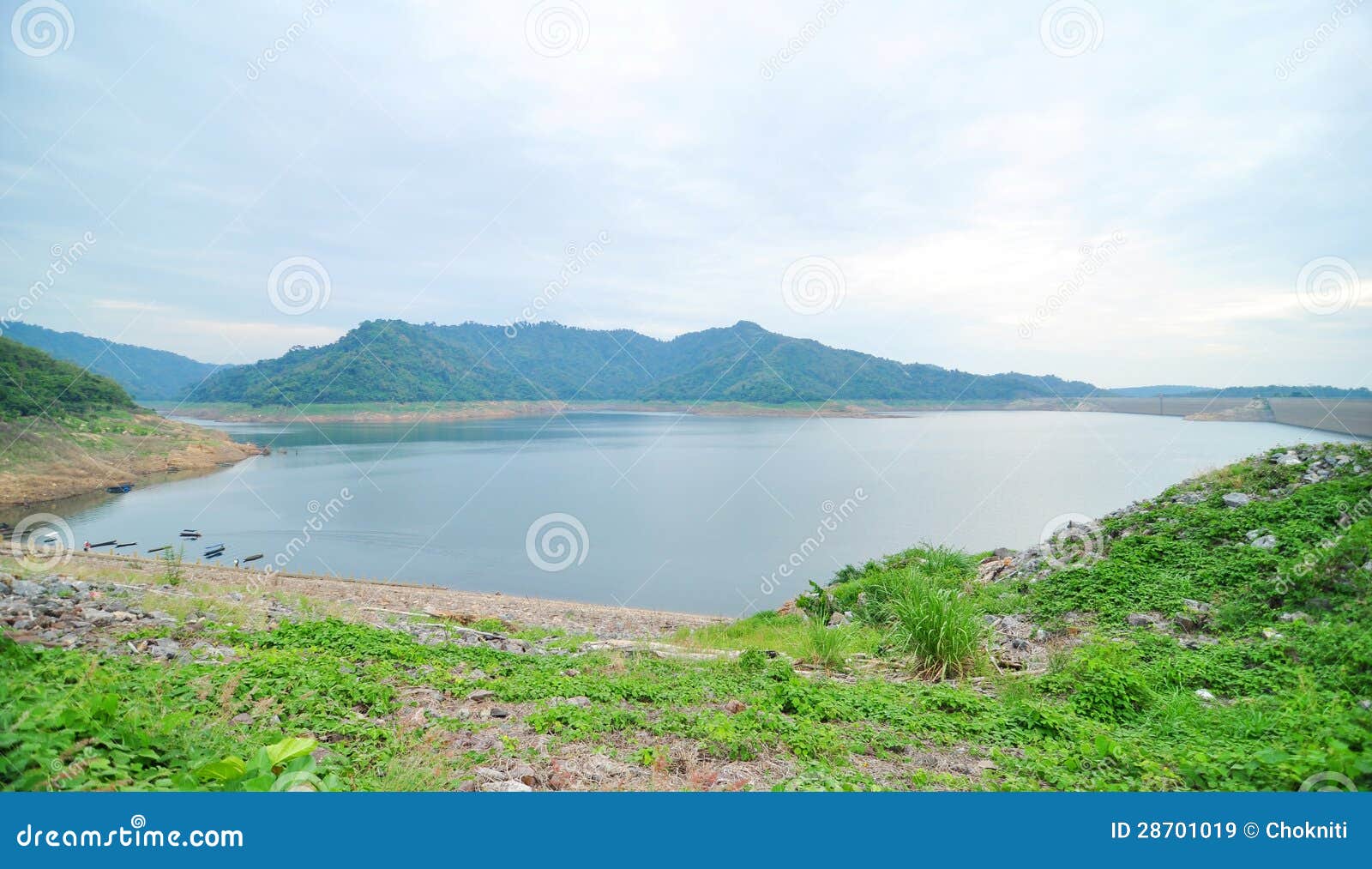 Natural Resource in Tropical Rain Forest Stock Image - Image of climate ...