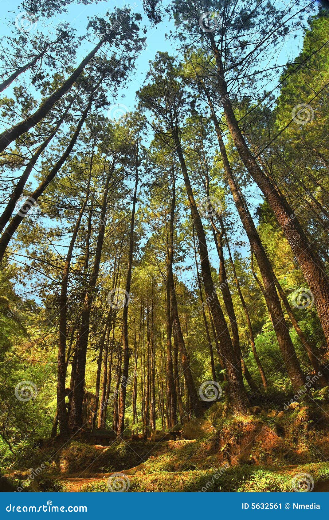 Natural Resources 07 stock image. Image of scenery, earth - 5632561