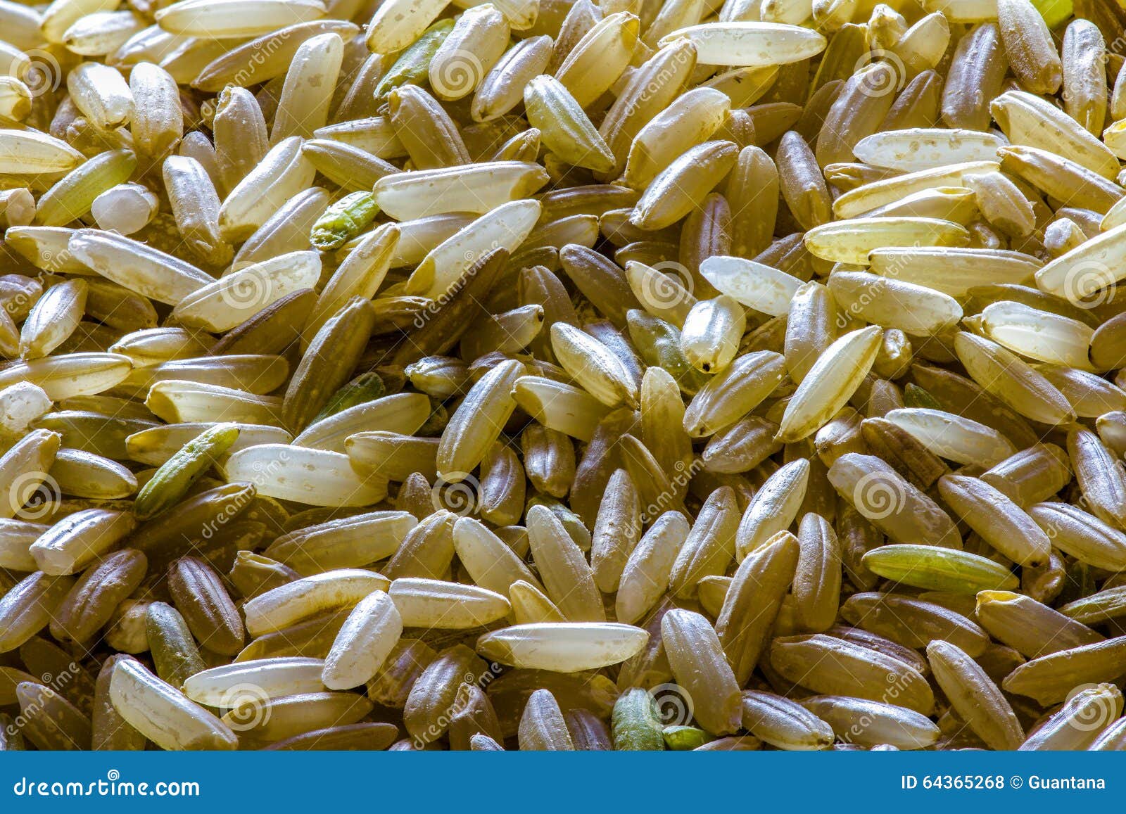 Natural rice close up stock photo. Image of mediterranean - 64365268