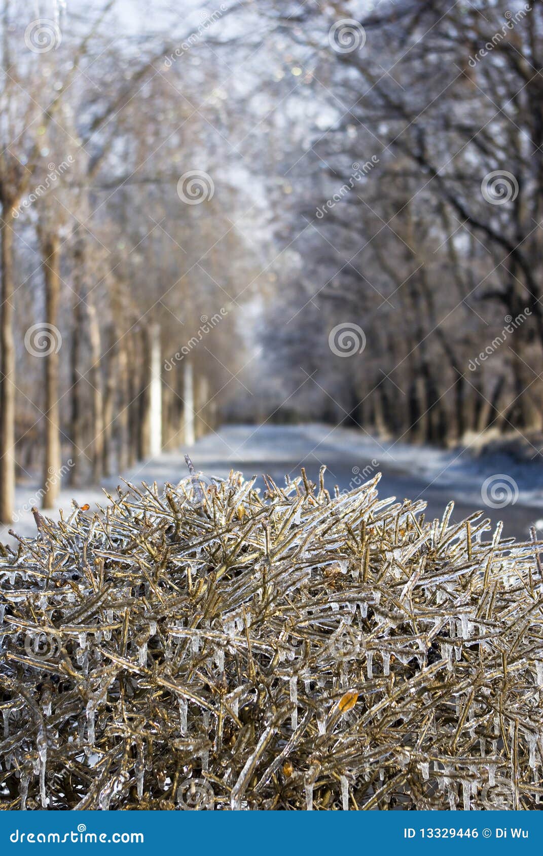 Natural Rime stock photo. Image of asian, cold, nature - 13329446