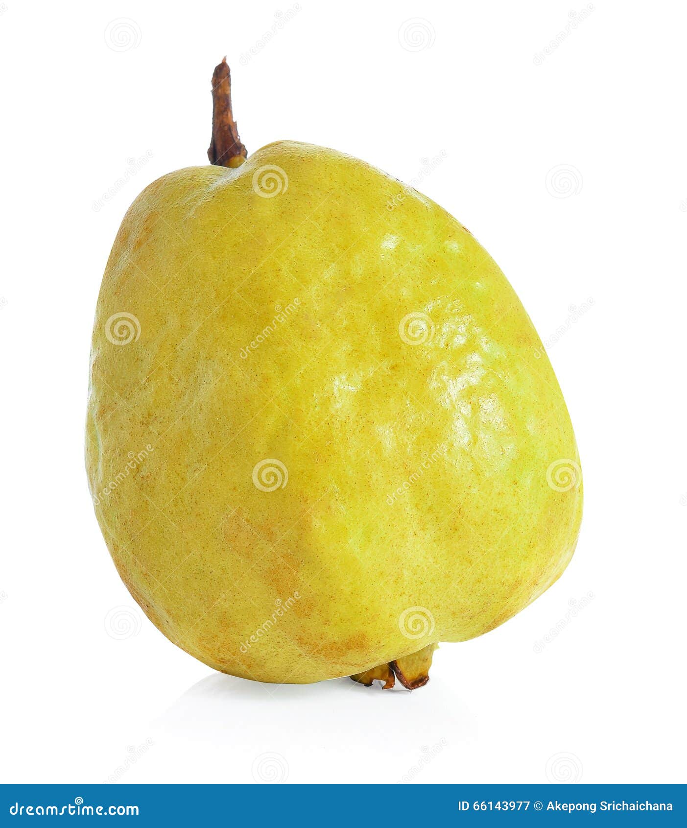 Natural ripe guava stock image. Image of close, green - 66143977