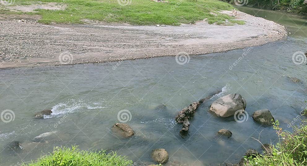 Natural river flow stock photo. Image of flow, beautiful - 268423074