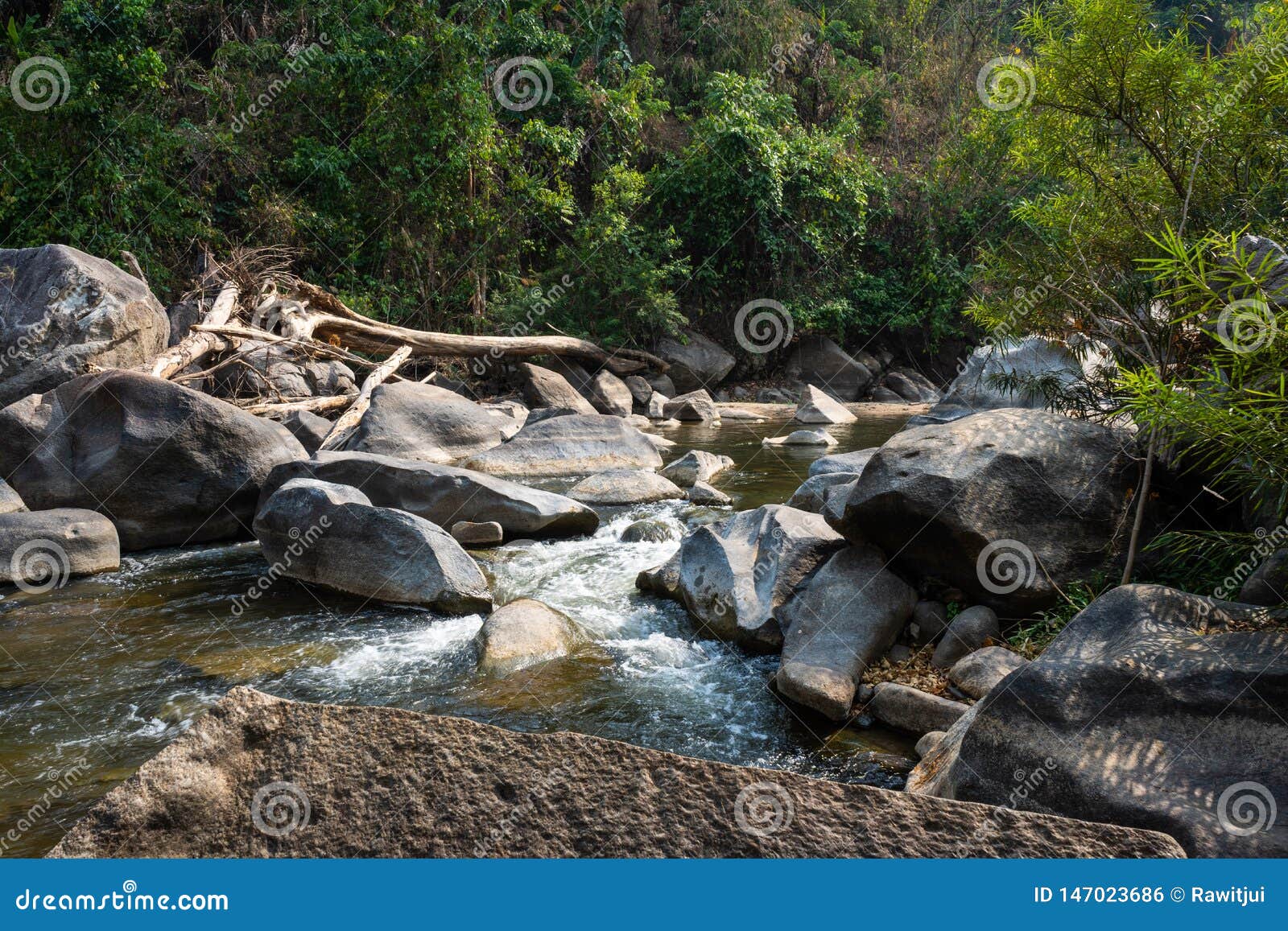 Natural River in the Forest with Rocks Landscape View Stock Photo ...