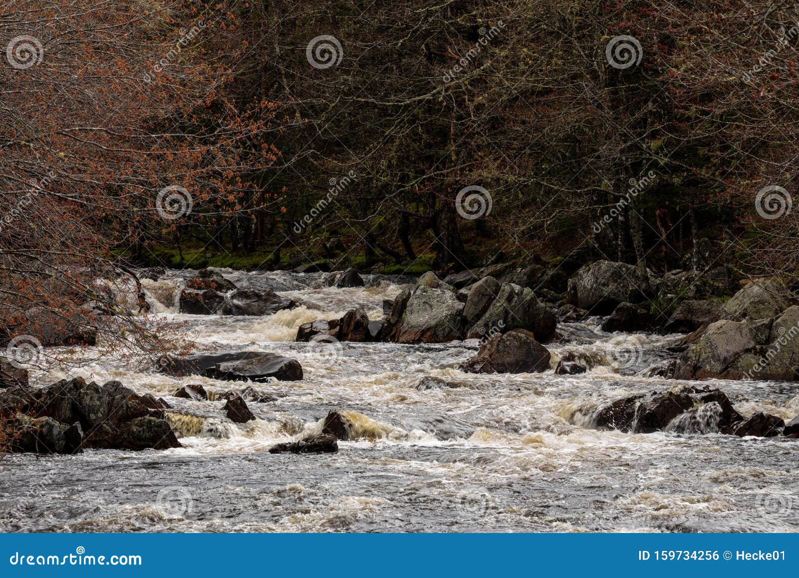 Natural River in Nova Scotia Canada Stock Photo - Image of scene ...