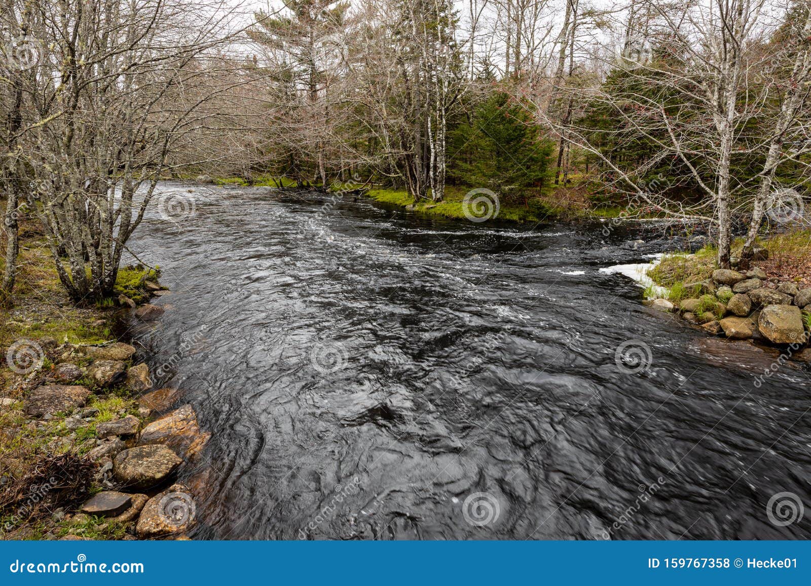 Natural River in Nova Scotia Canada Stock Photo - Image of canada ...
