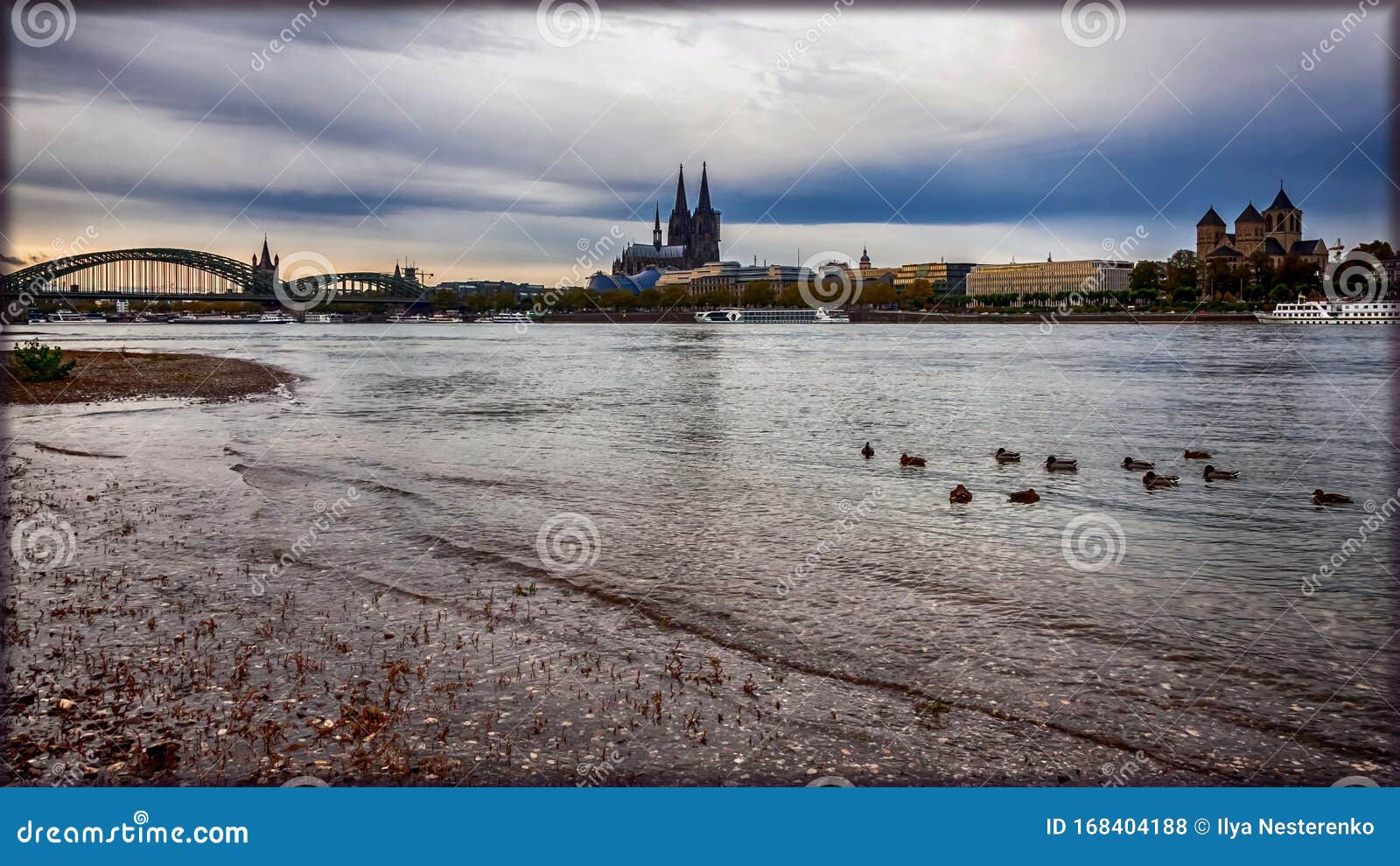 Natural River Scenery of the Rhine in Cologne Stock Photo - Image of ...
