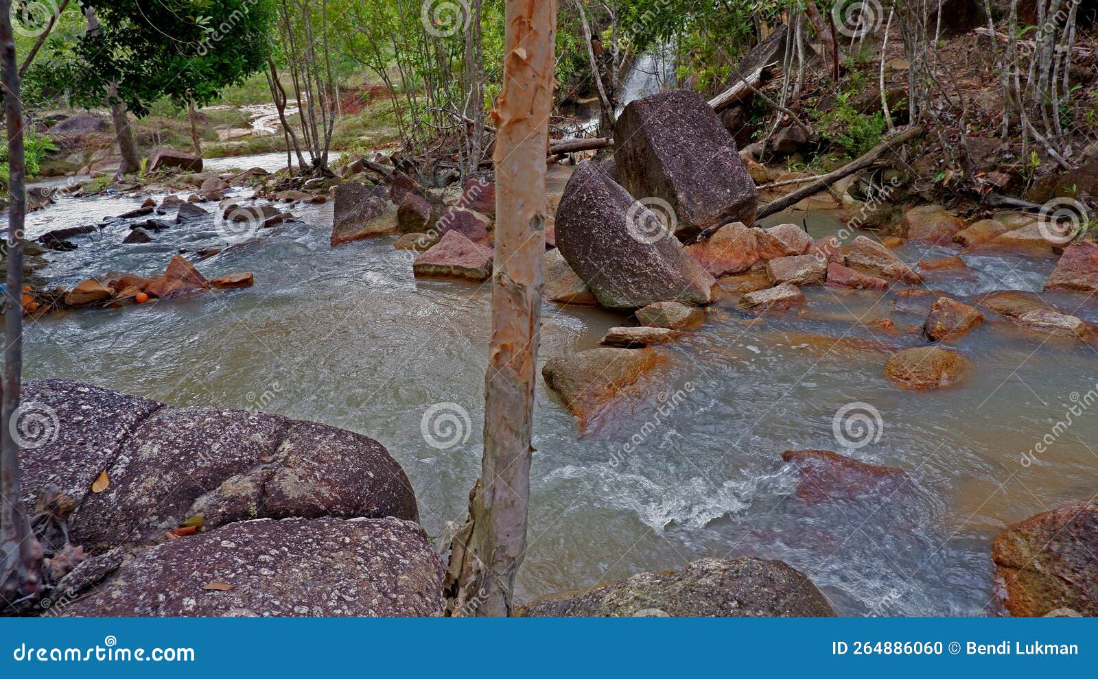 Natural Rivers Flowing from the Mountains Stock Photo - Image of ...