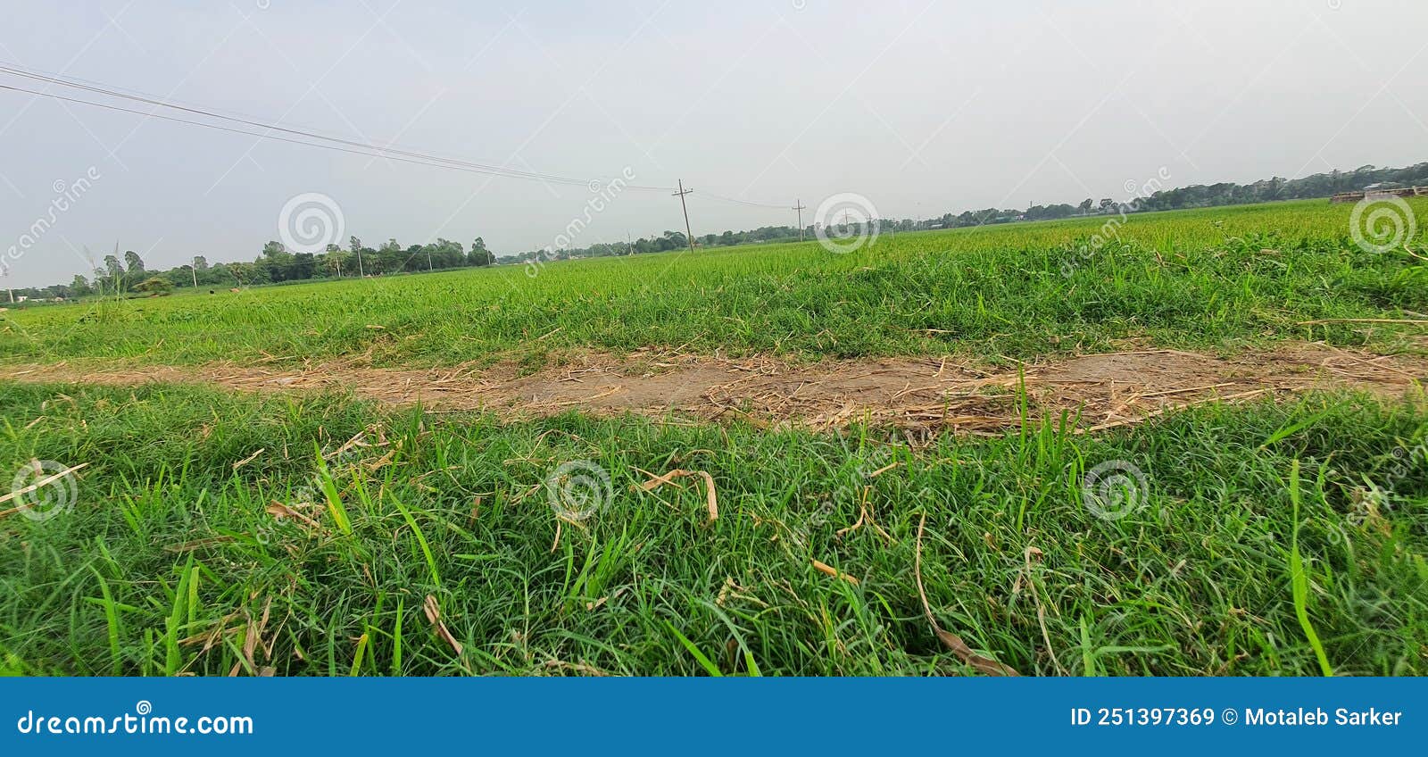 Natural road highway stock image. Image of grassland - 251397369