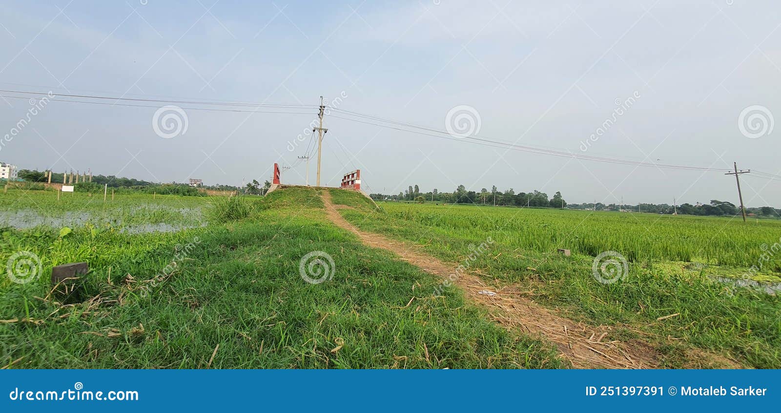 Natural road highway stock image. Image of prairie, grassland - 251397391
