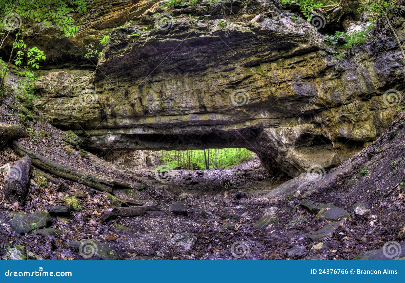 Natural Rock Bridge stock photo. Image of forest, formation - 24376766