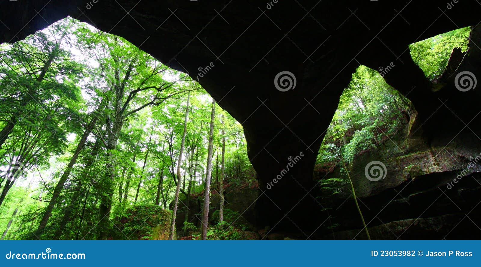 Natural Rock Bridge - Alabama Stock Photo - Image of forest, humid ...
