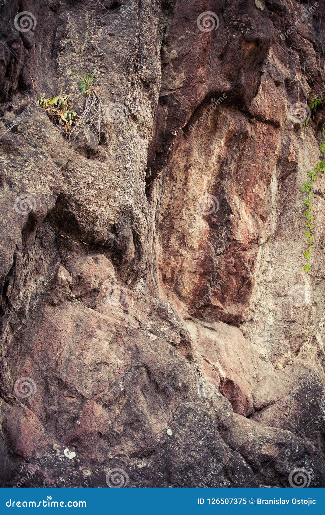 Natural Rock Cliff Texture Background Closeup Stock Image - Image of ...
