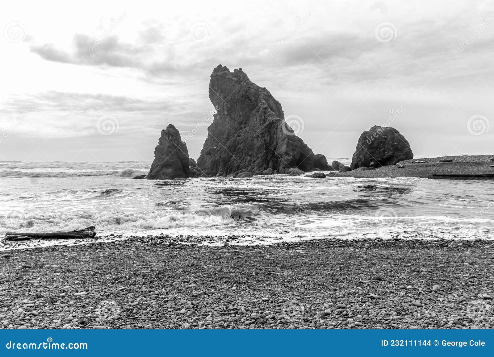 Ruby Beach Rock Monolith 7 stock photo. Image of rocks - 232111144