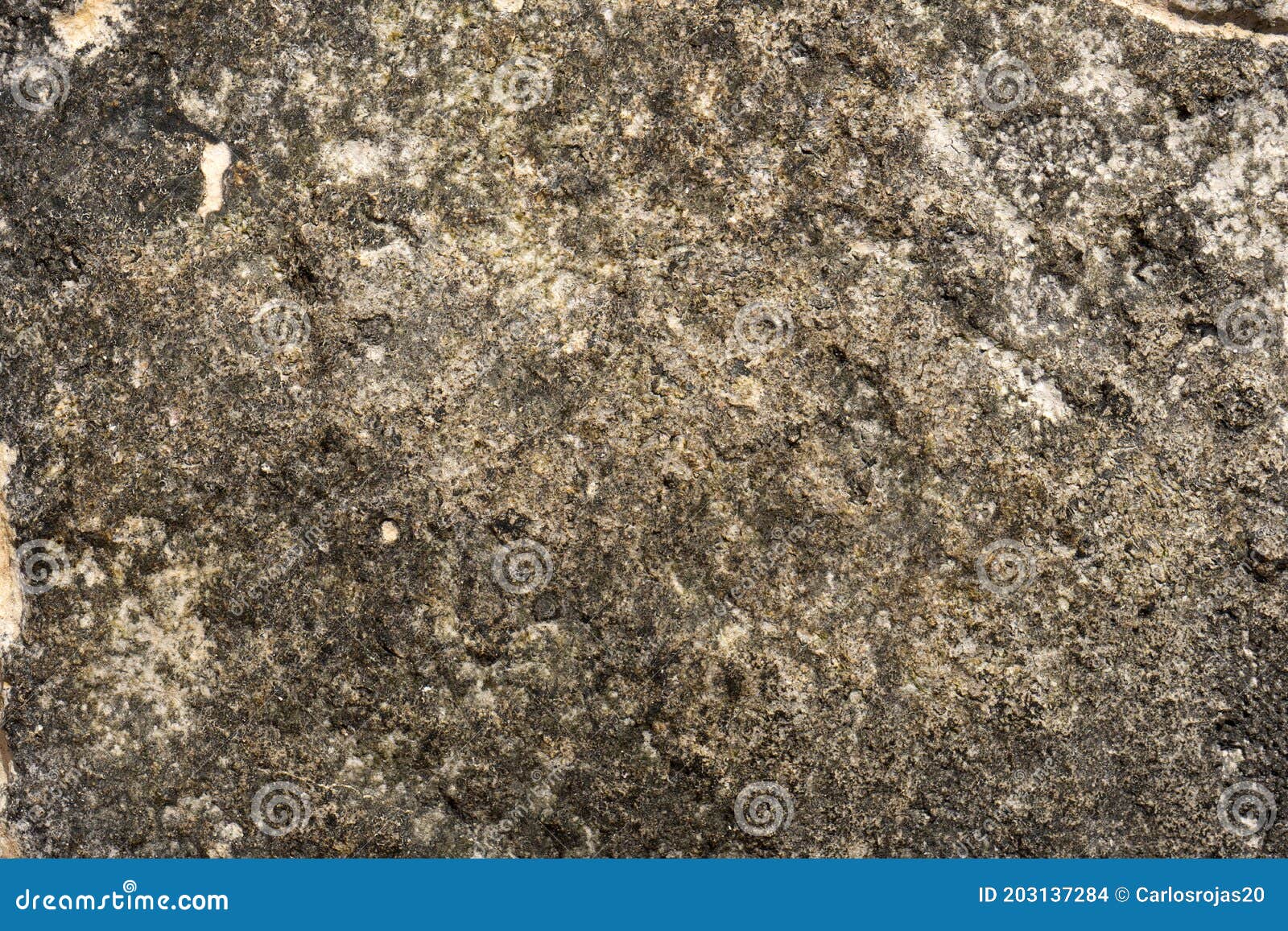 Rock Texture and Background at the Beach Stock Photo - Image of light ...