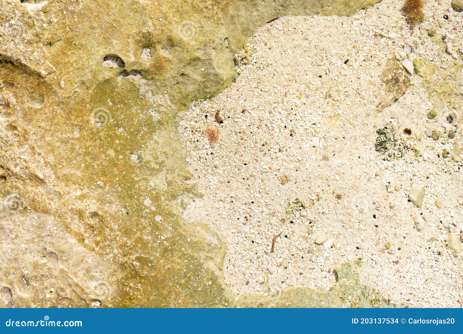 Rock Texture and Background at the Beach Stock Photo - Image of brown ...