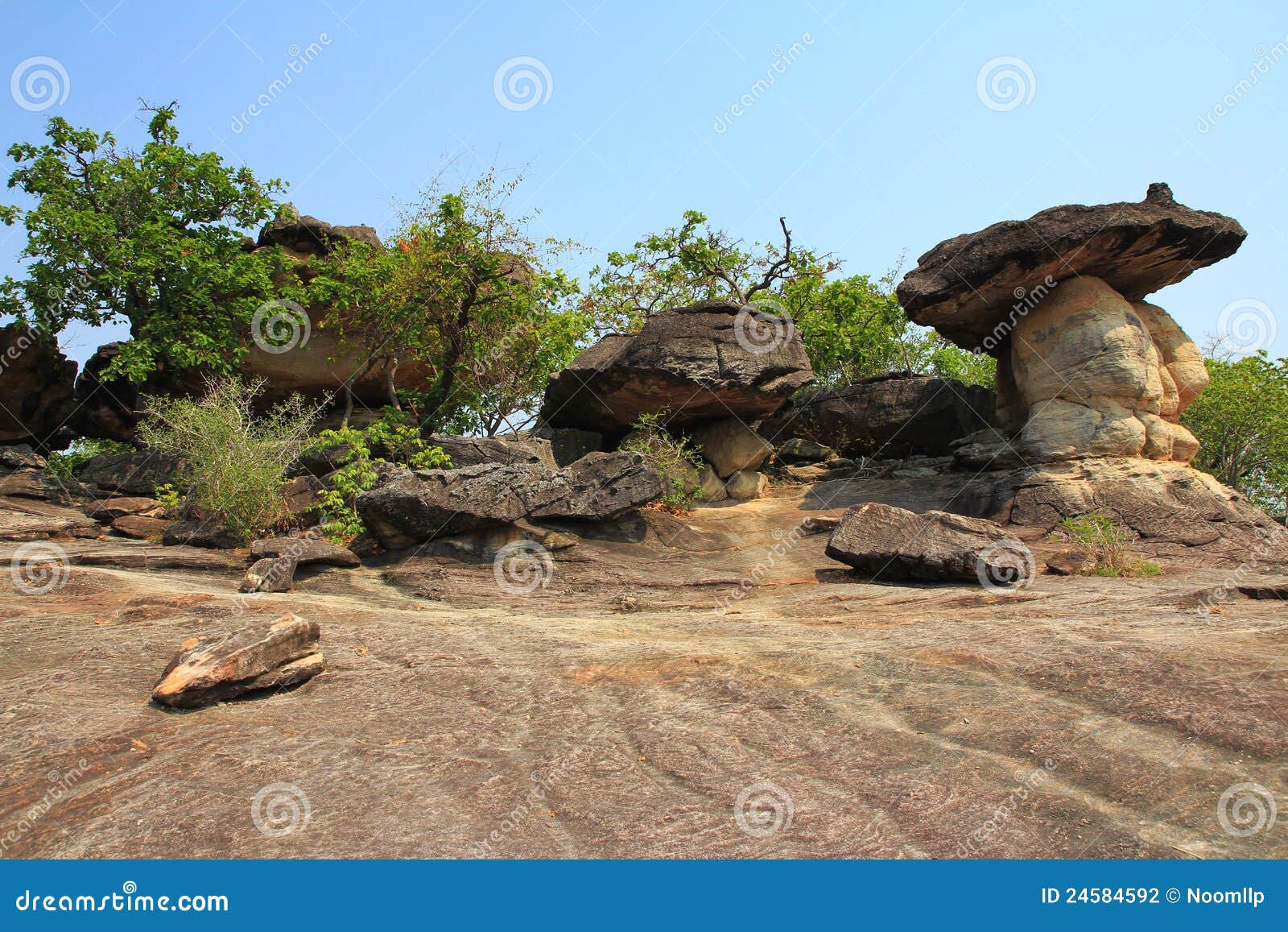 Natural Rock in thailand stock photo. Image of mushroom - 24584592