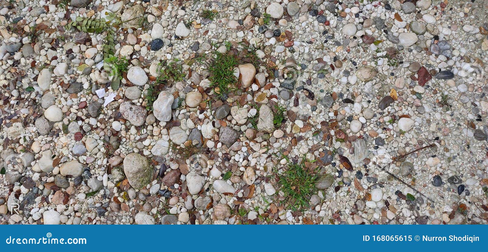 Natural Rocks and Grass Background Stock Image - Image of tropical ...