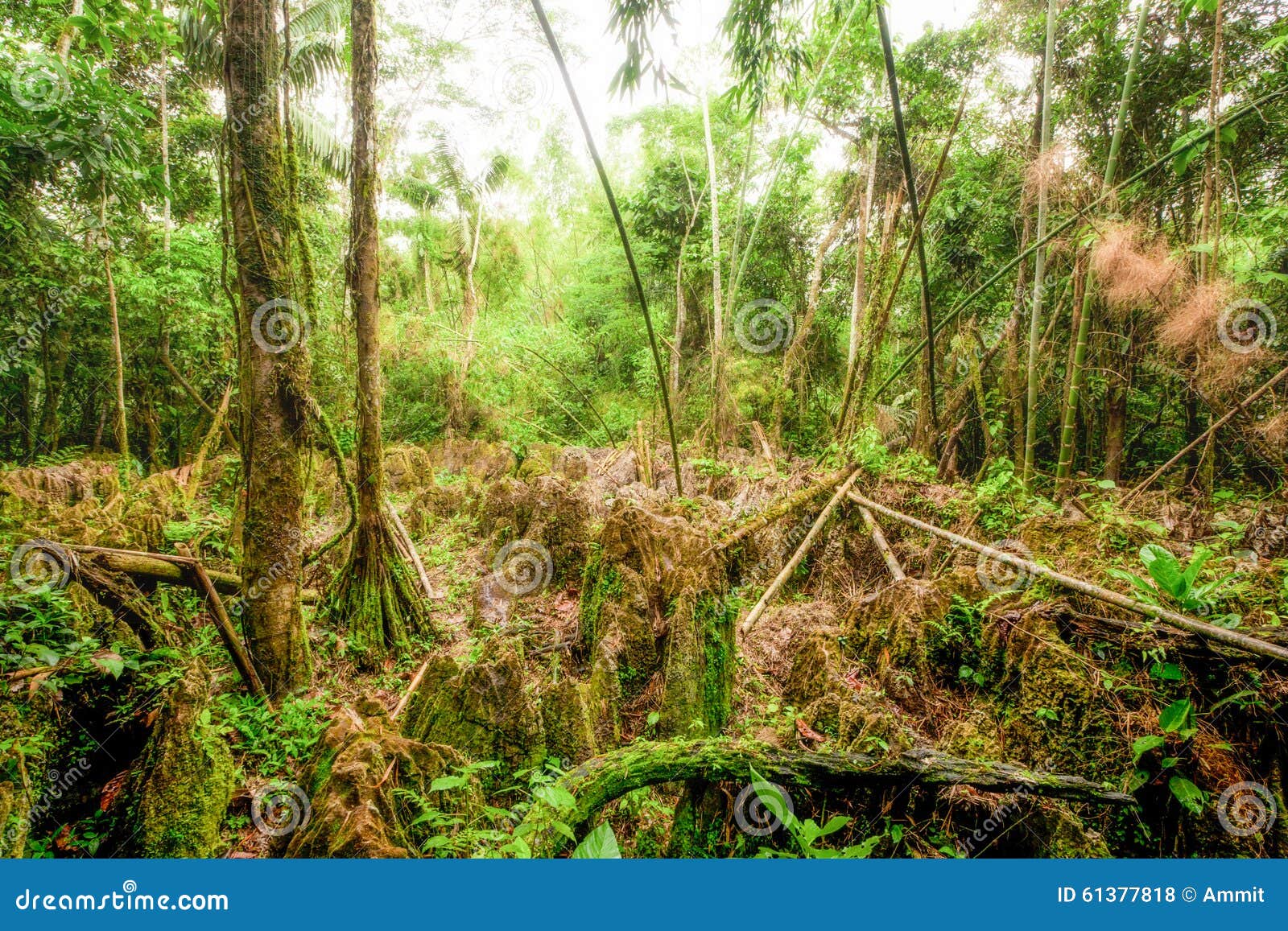 Natural Rocks Labyrinth Formations Stock Photo - Image of mystic ...