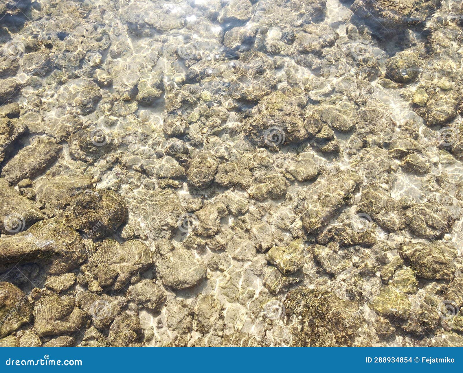 Natural Rocks at Low Tide, Coral Reef Stock Photo - Image of rocks ...