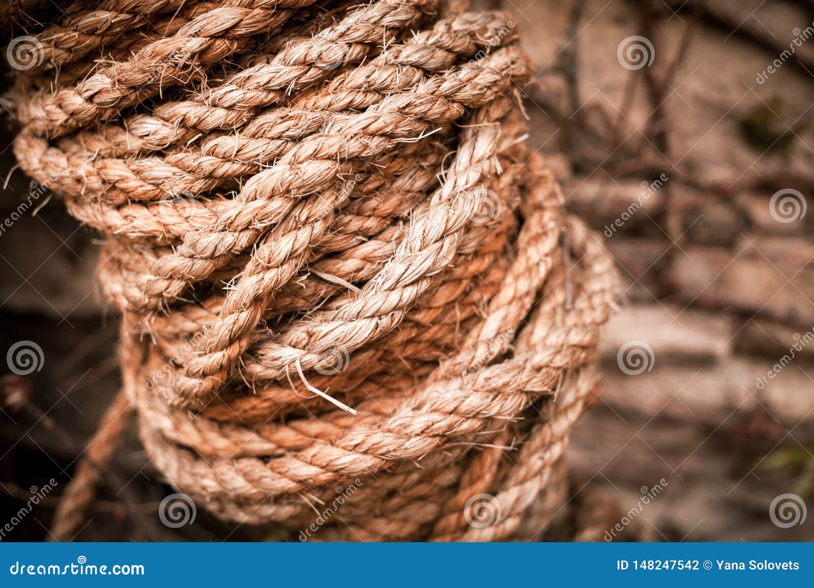 Natural rope beige color. stock photo. Image of border - 148247542