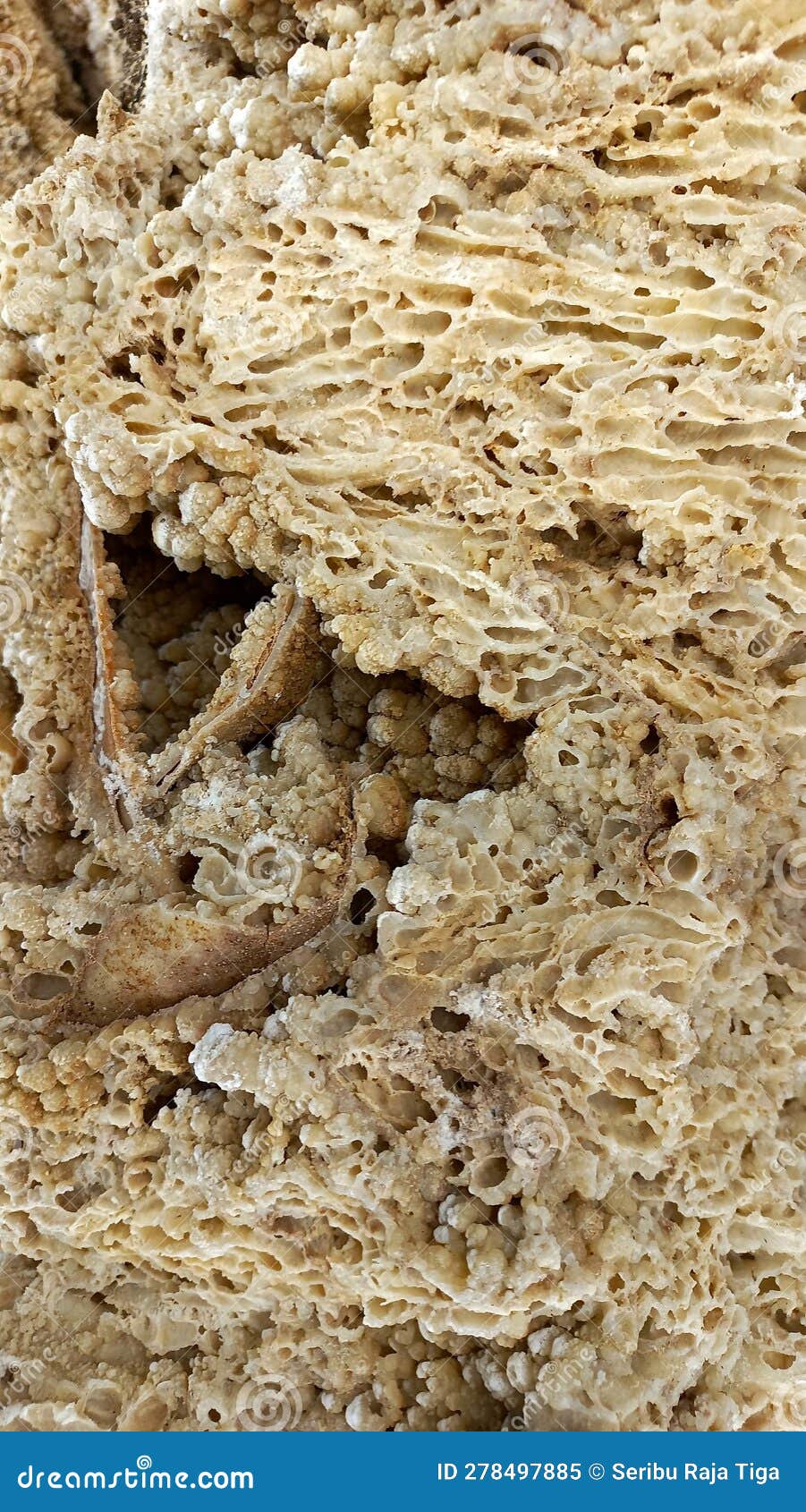 Natural Rough Raw Tufa Stone Surface Stock Image - Image of tufa, rough ...