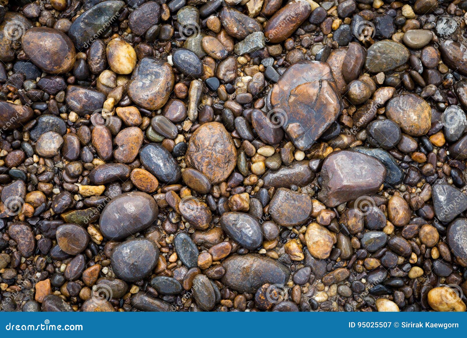 Natural Round Stone from the River Beach Stock Image - Image of stones ...
