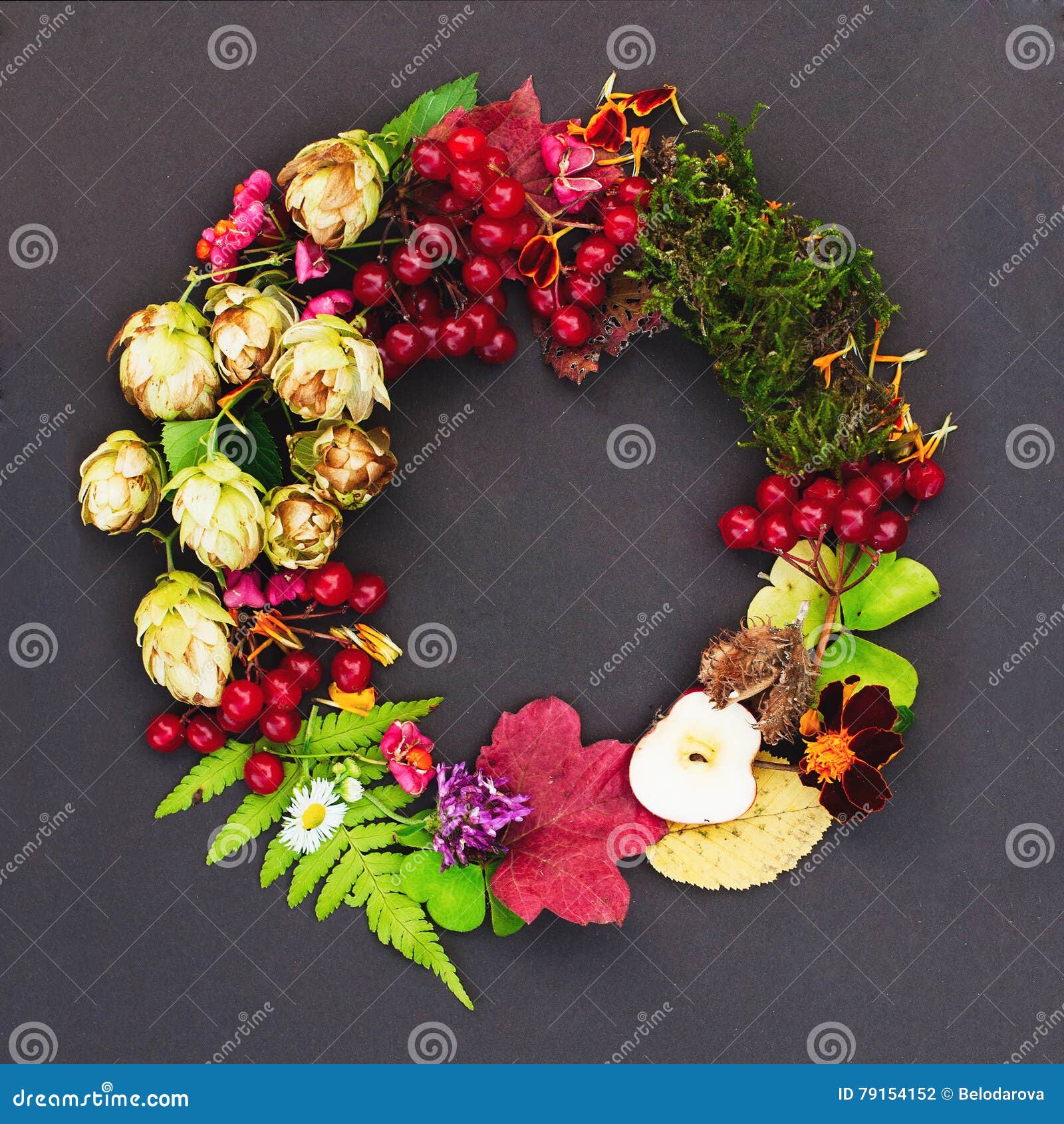 Natural Round Wreath Frame on Blackboard Background. Stock Photo ...