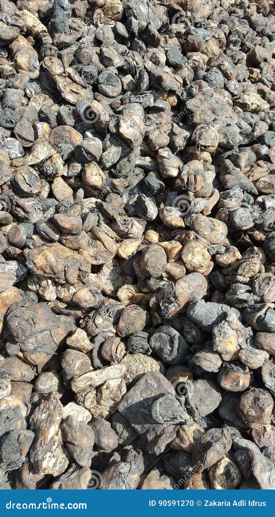 Natural Rubber Cup Lumps stock photo. Image of industrial - 90591270