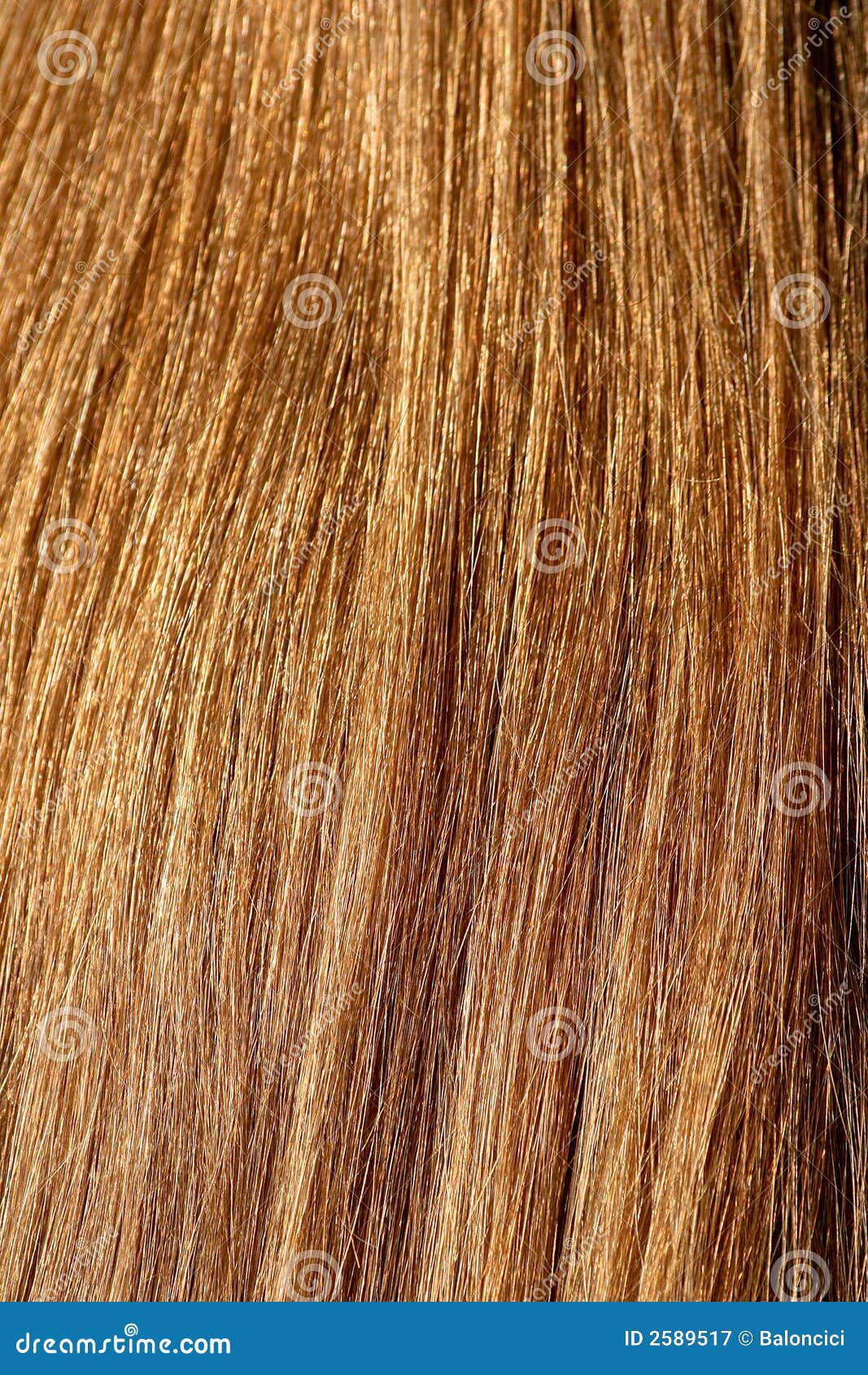 Natural rubio imagen de archivo. Imagen de manera, rubio - 2589517