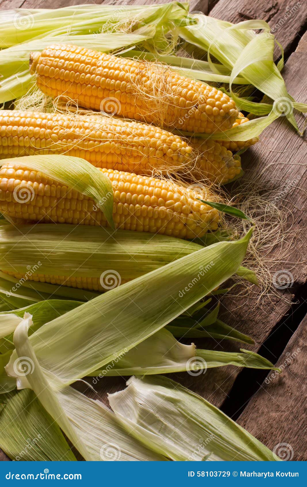 Natural rural corn. stock image. Image of agriculture - 58103729
