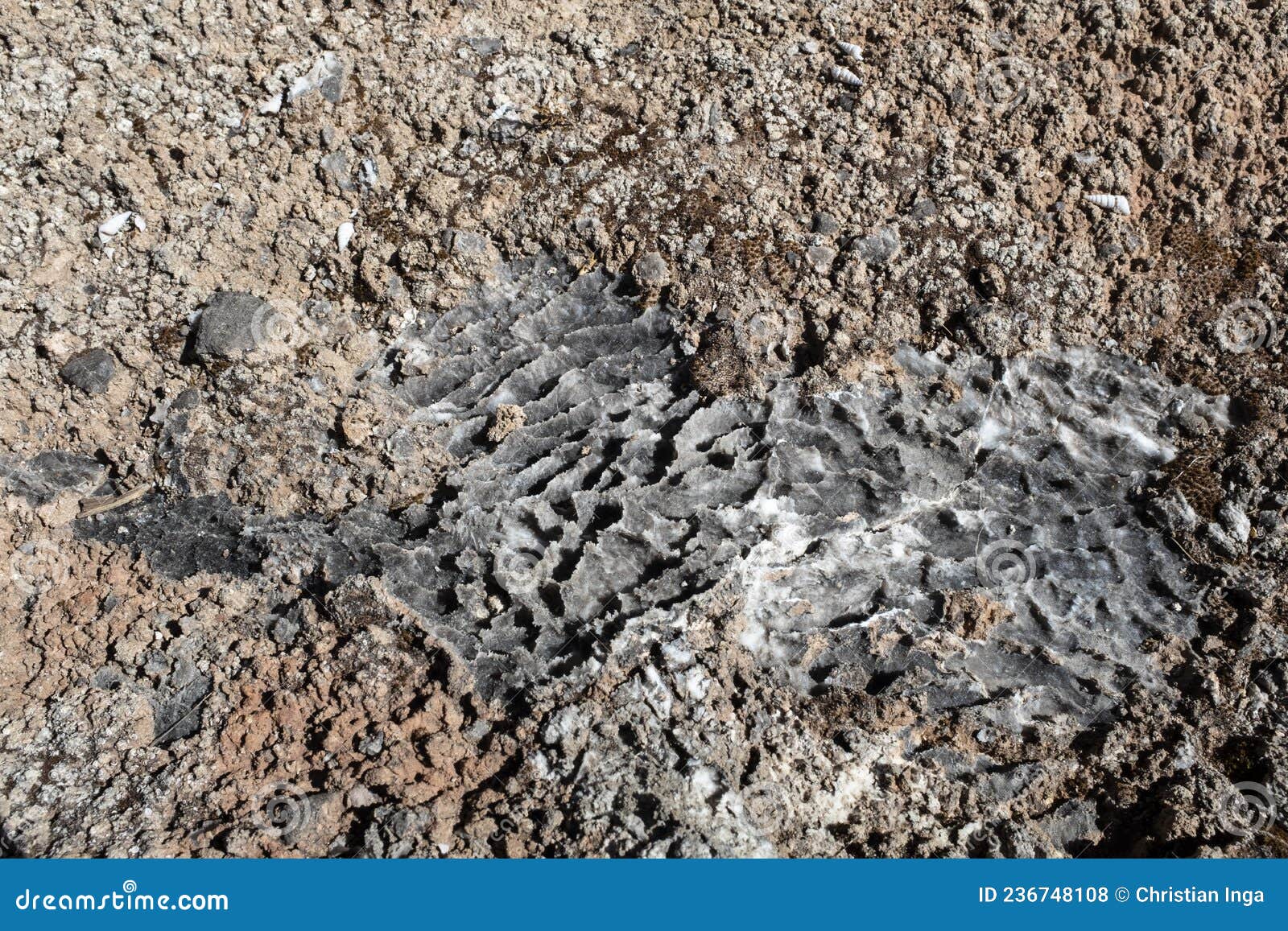 Natural Salt Rock. Salt Texture in Peruvian Stock Photo - Image of ...