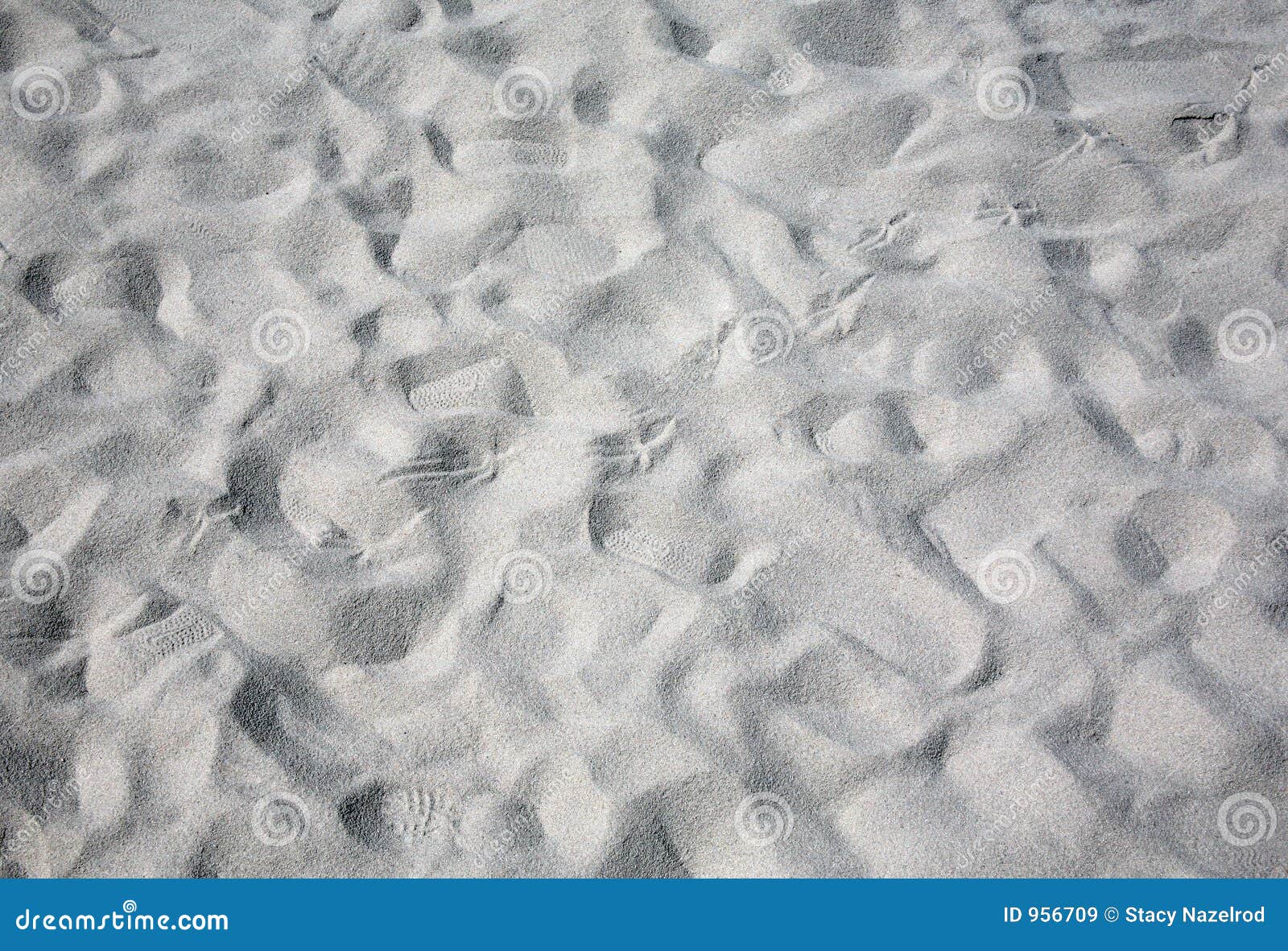 Natural sand stock image. Image of dune, growth, nature - 956709