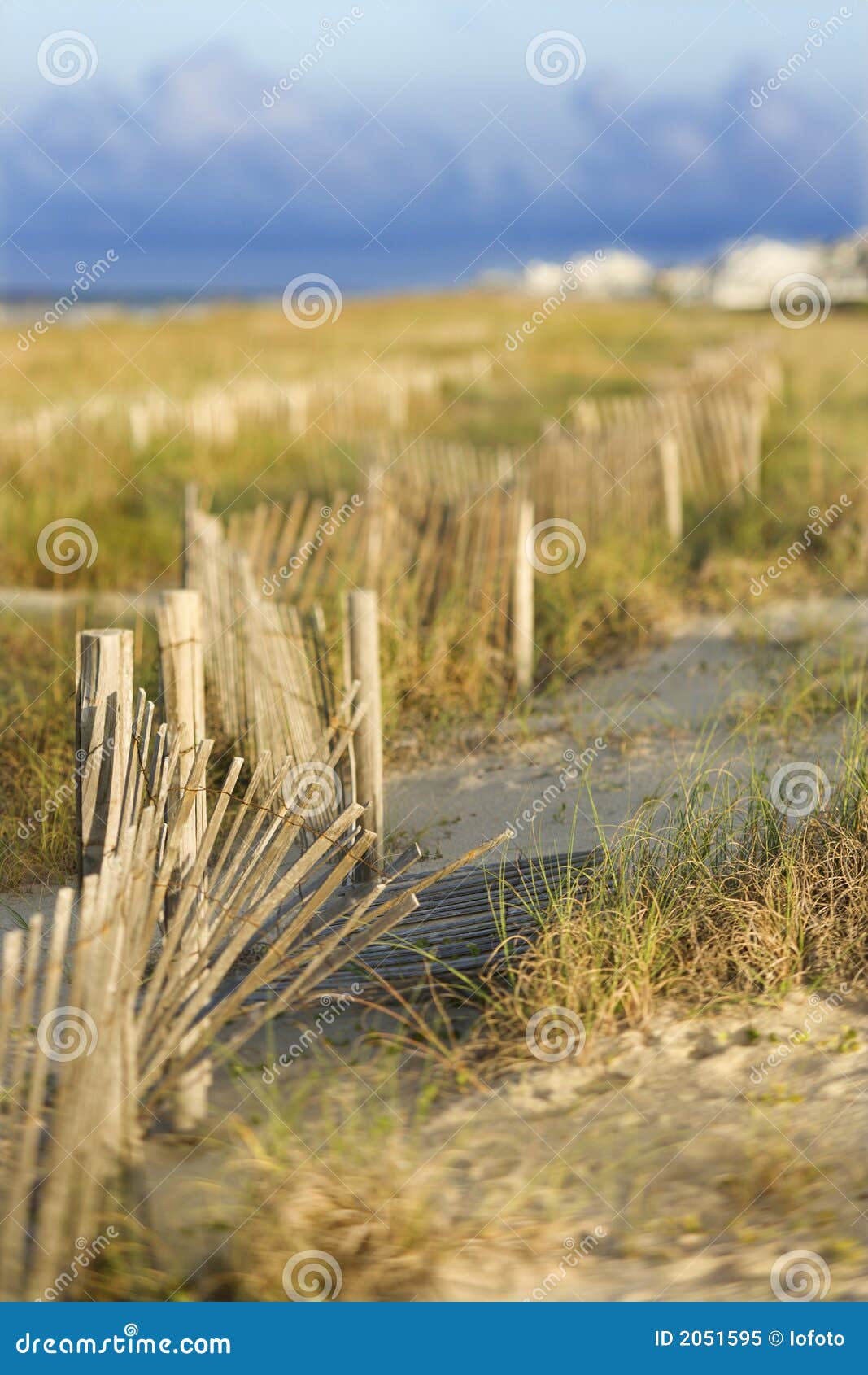 Natural Sand Dune Beach Area. Stock Image - Image of scenic, vertical ...