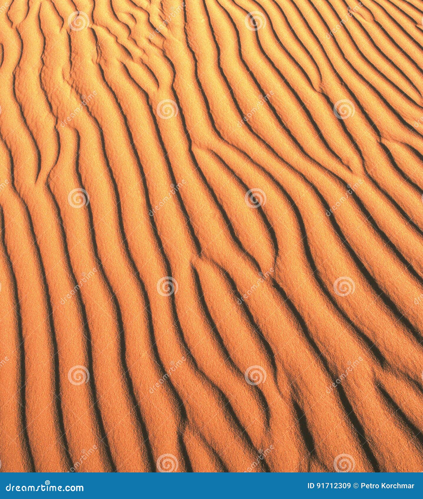 Natural sand dunes. stock image. Image of pattern, dunes - 91712309