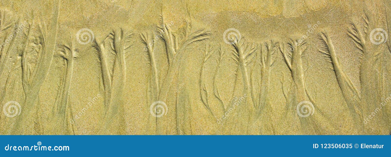 Natural Sand Floral Pattern on Flat Sandy Beach during Low Tide. Stock ...