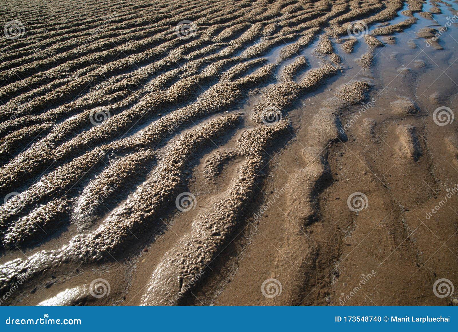 Natural Sand Patterns in Beach at Low Tide. Stock Photo - Image of ...