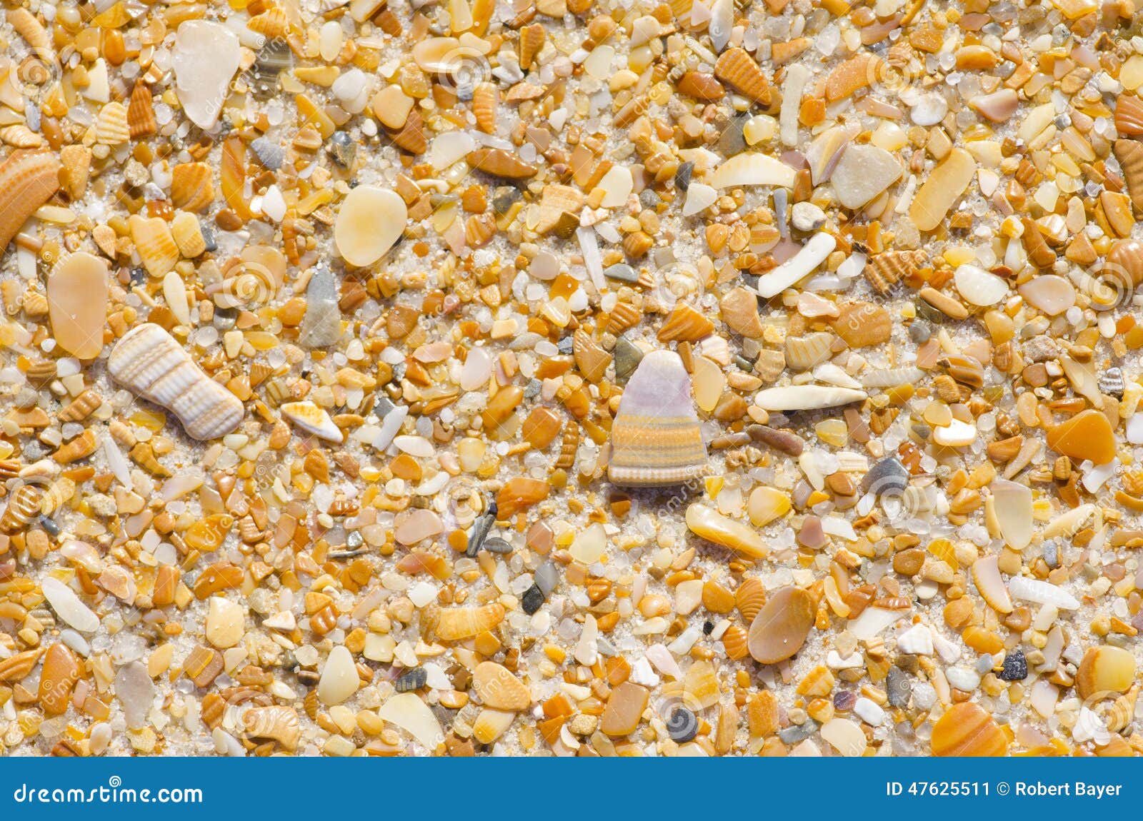 Natural Sand, Stones and Shells Wallpaper Stock Image - Image of golden ...