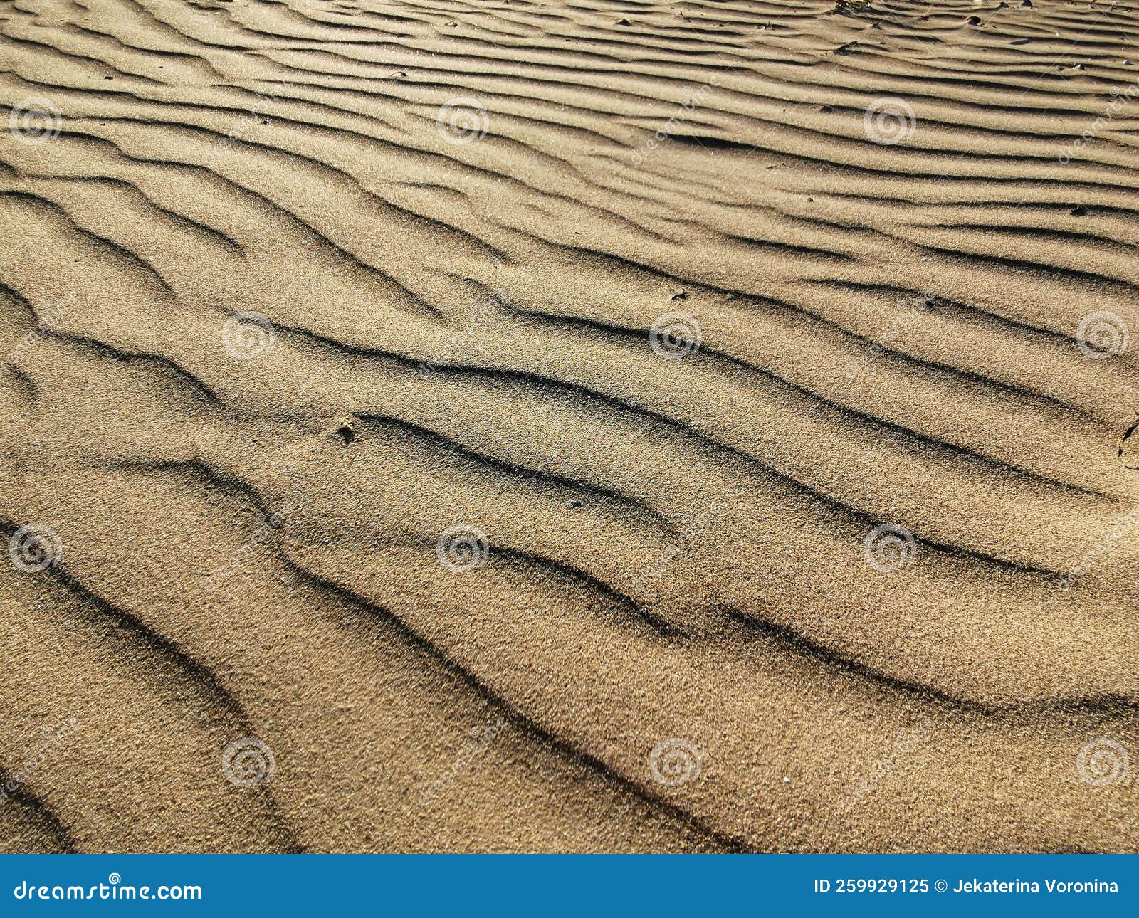 Natural sand texture stock image. Image of classic, textured - 259929125