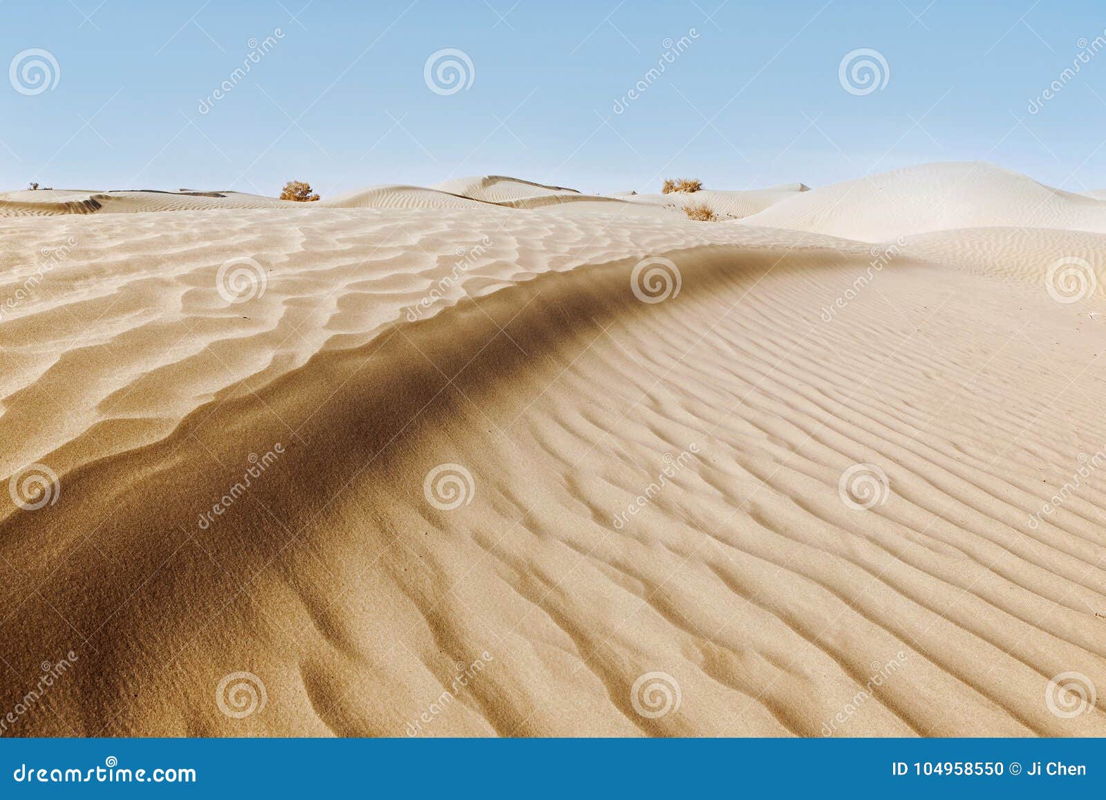 Natural Sand Waves in Desert Stock Photo - Image of summer, wave: 104958550